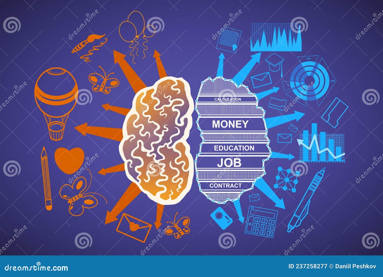 Creative Brain Sketch with Creative and Analytical Side on Blue Wall ...