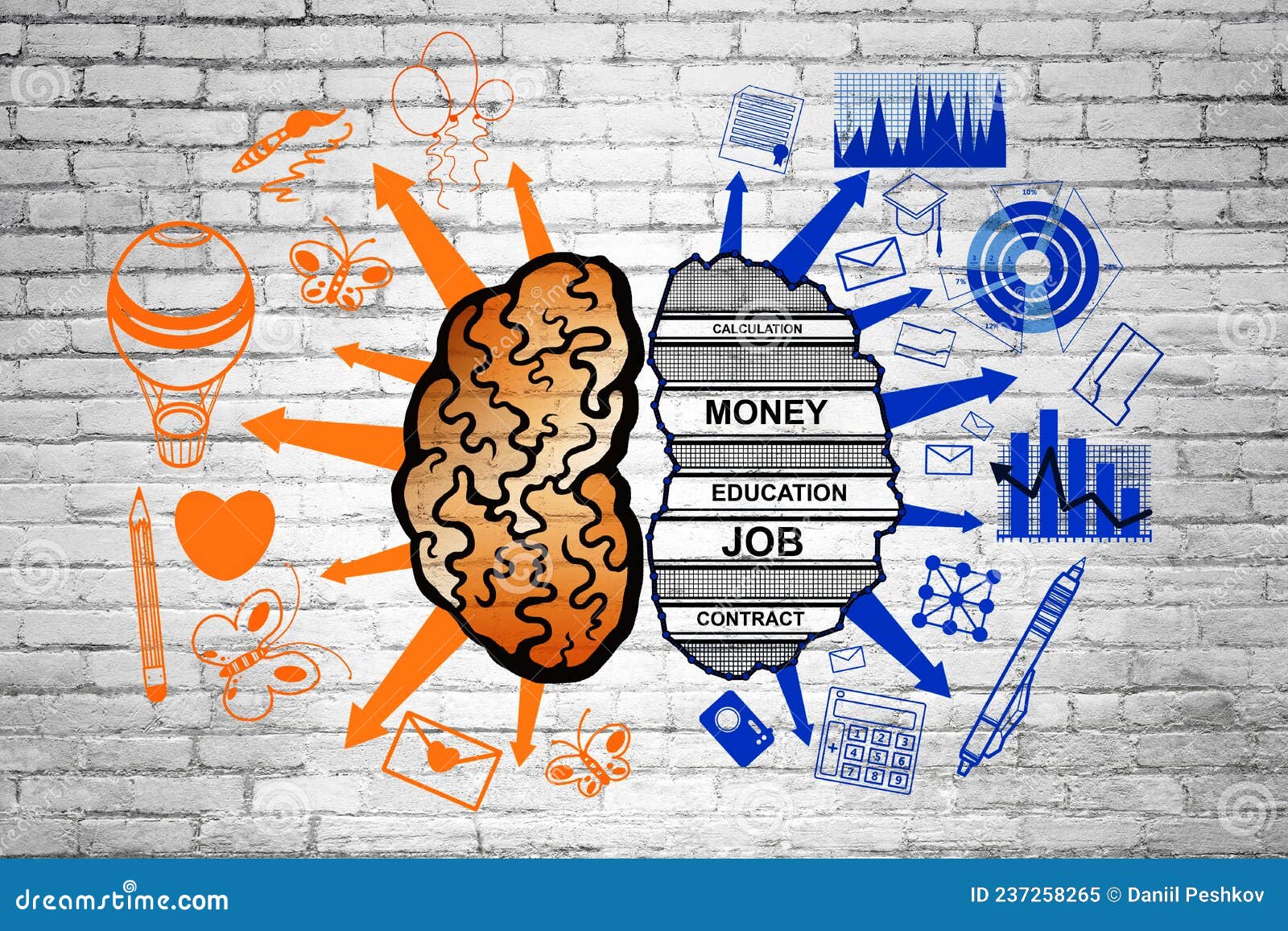 Creative Brain Sketch with Creative and Analytical Side on Brick Wall ...