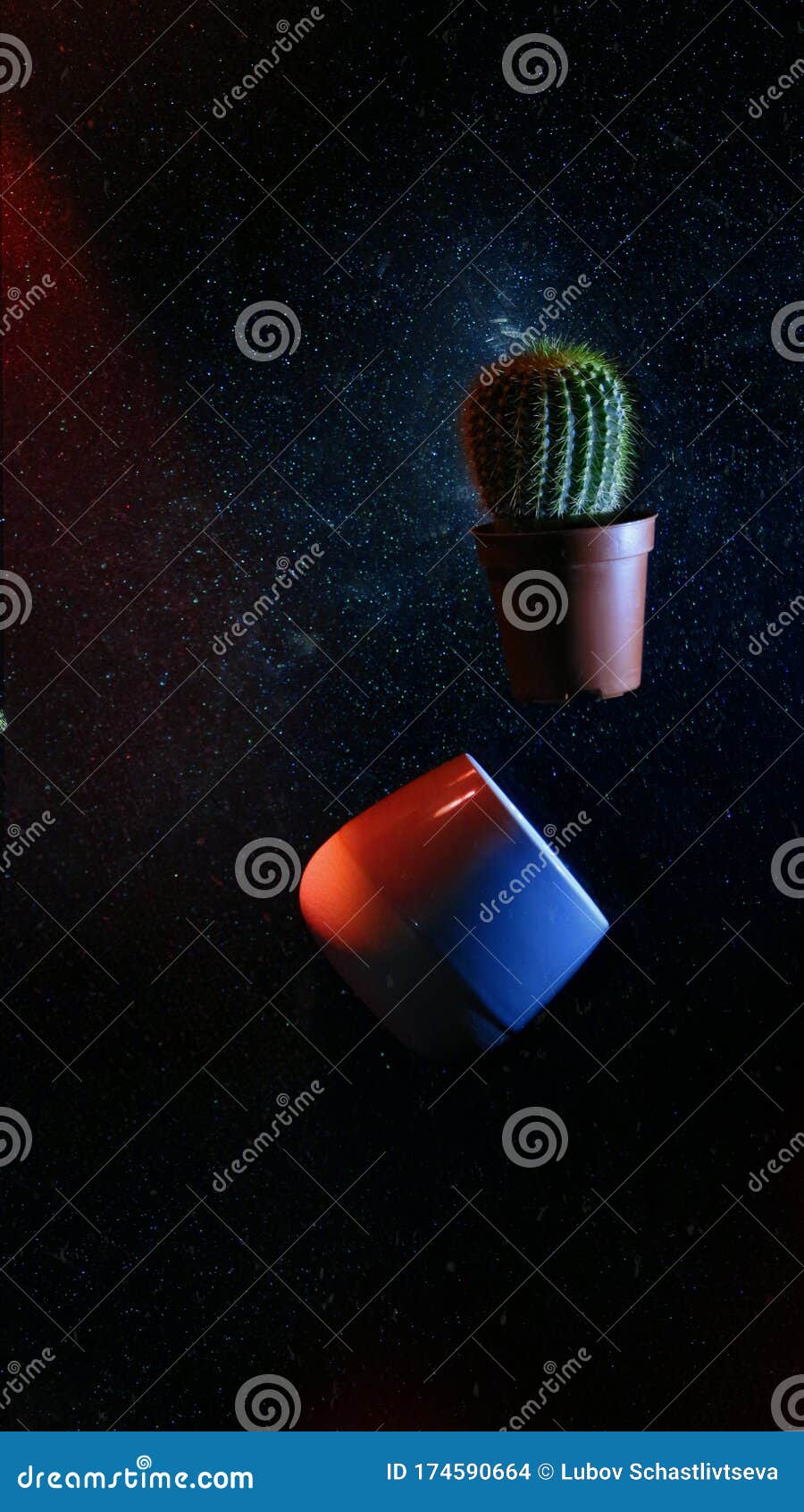 A Creative Cactus Flew into Space To Conquer the Universe Stock Photo ...