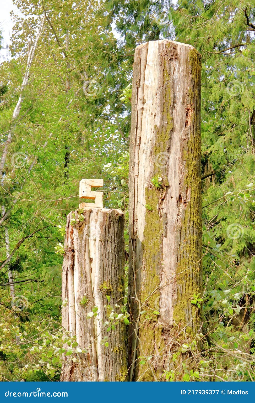 Creative Chainsaw Cutting stock image. Image of tree - 217939377