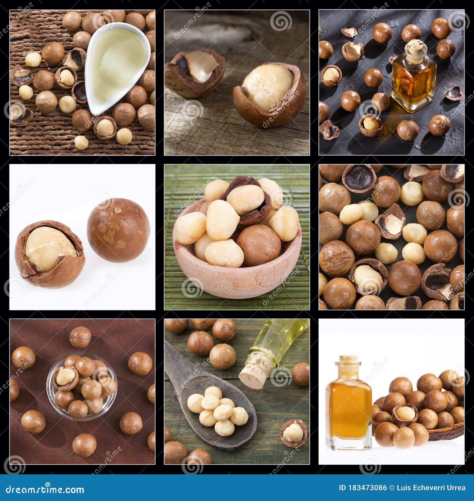 Creative Collage of Macadamia Nuts Images - Macadamia Integrifolia ...