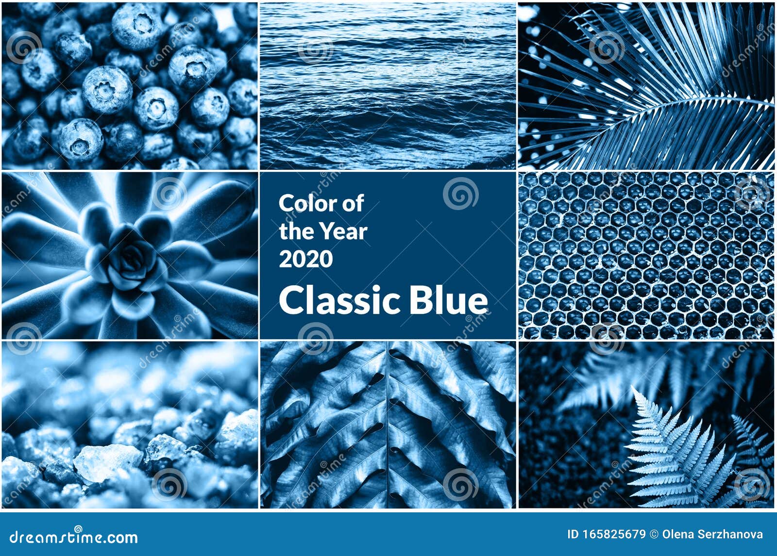 Collage of Nature Textures Inspired by Blue Color. Stock Image - Image ...