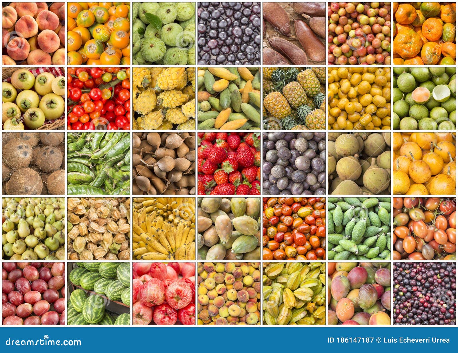 Creative Collage of Tropical Fruit Images Stock Image - Image of design ...