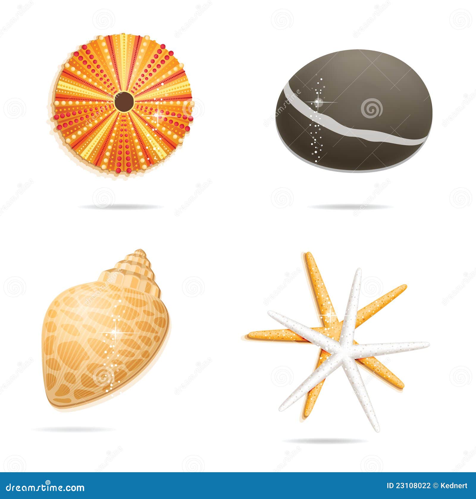 Creative and Colored Tropical Symbols Set Stock Vector - Illustration ...