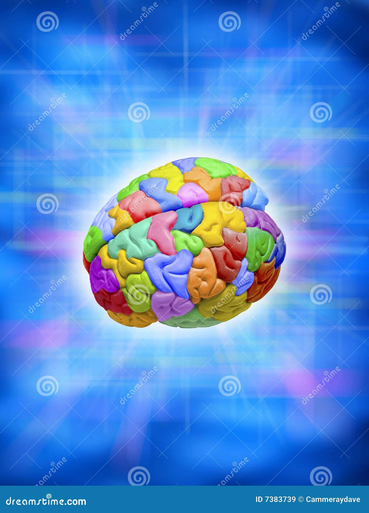 Creative Colorful Brain stock image. Image of cerebrum - 7383739