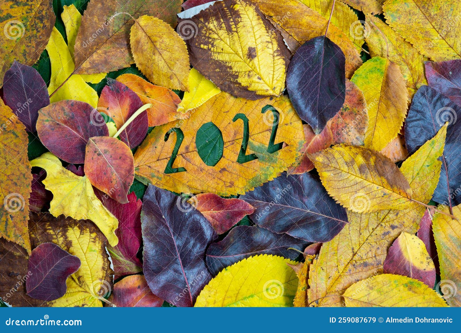 Creative Colorful Year 2022 Fall Concept with Leaves. Stock Image ...
