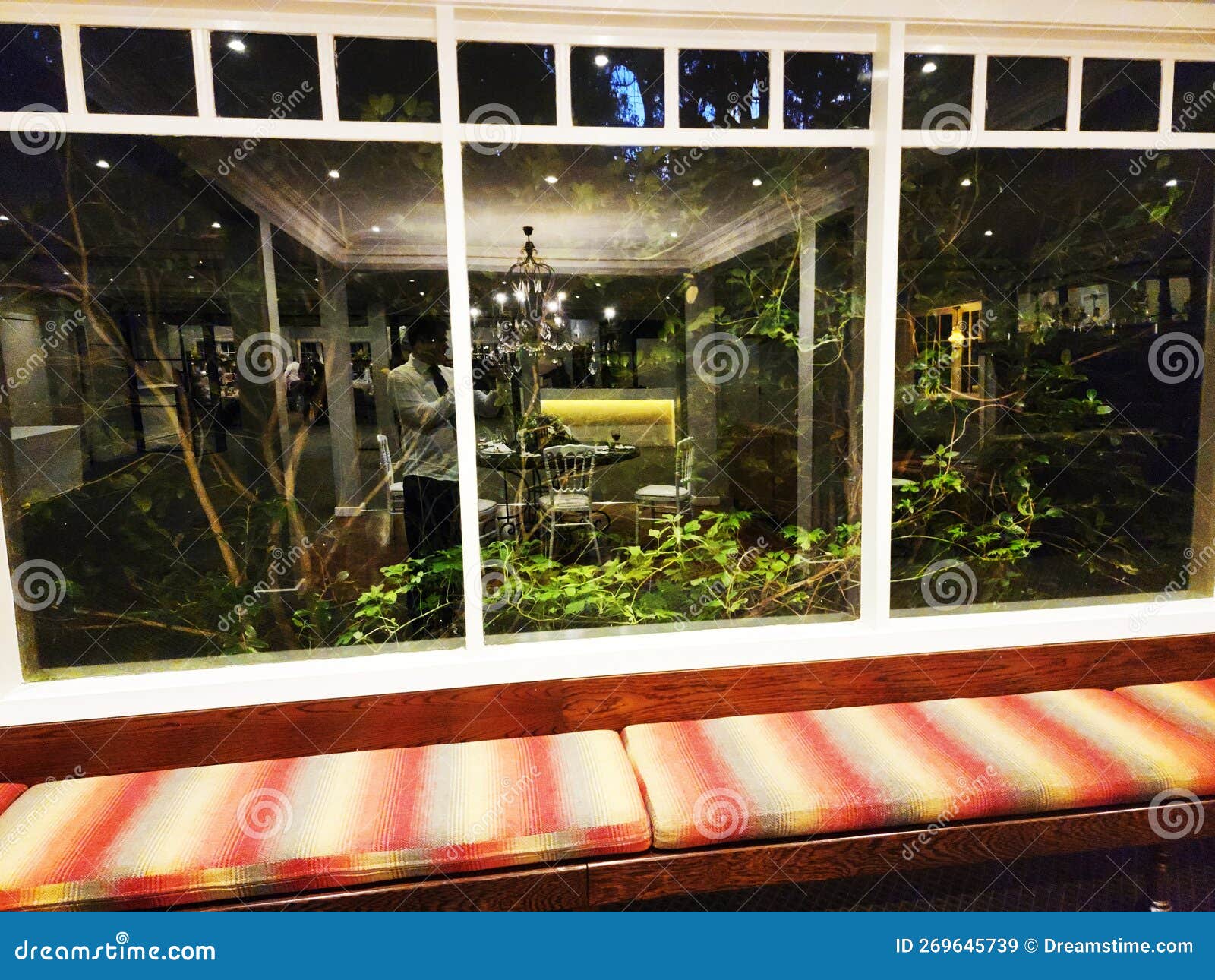 Window Reflection of Tropical Ferns and Colourful Seats at Function ...
