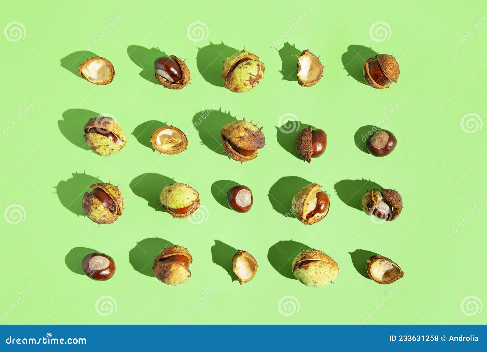 Creative Composition Made of Chestnuts Lying As a Frame on Green ...