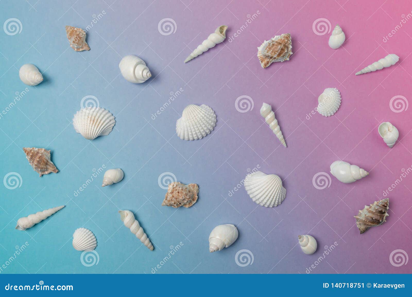 Creative Composition with Seashells on Gradient Pastel Pink and Blue ...