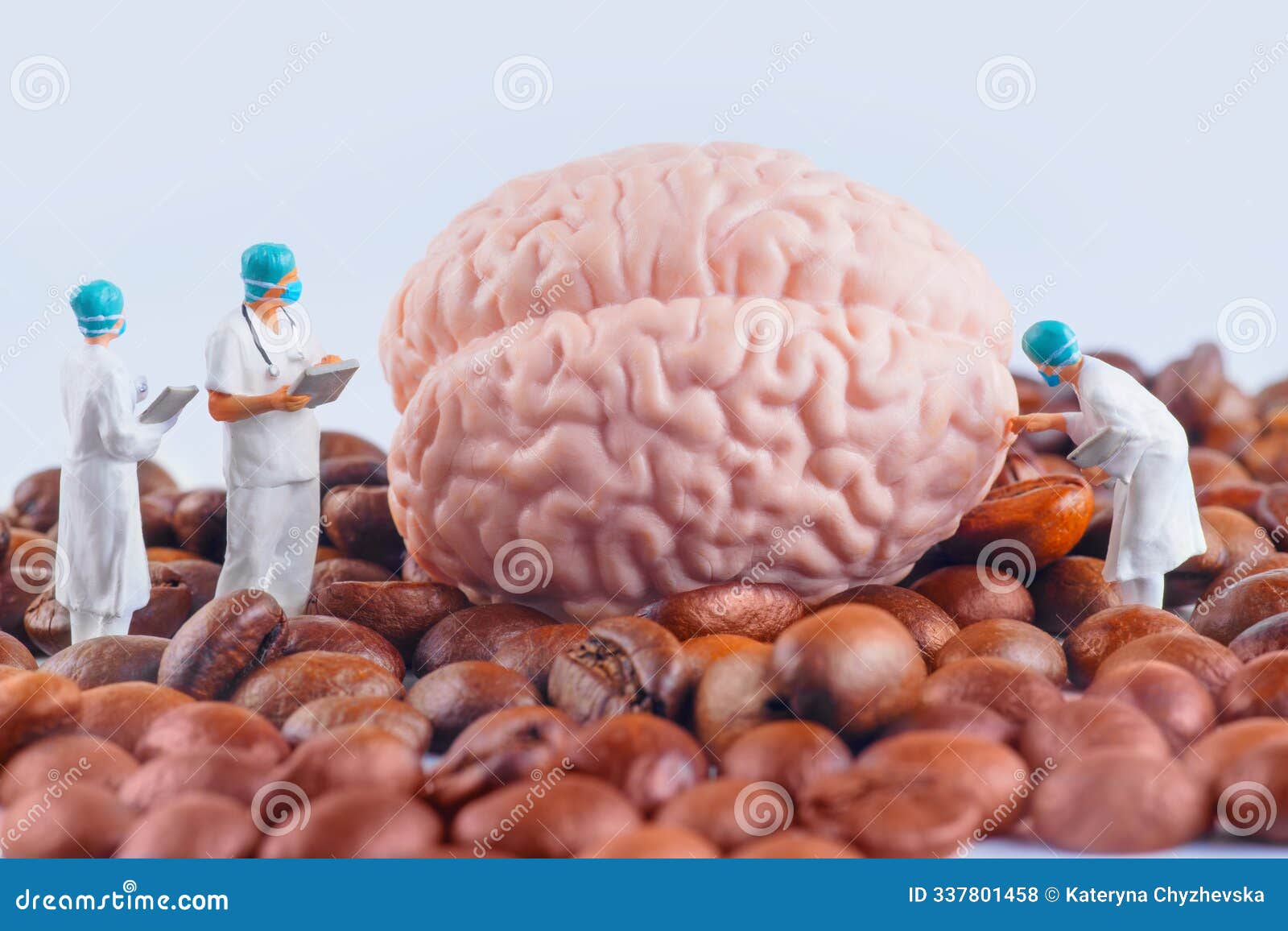 Brain And Coffee Caffeine. Brain Model Is Among Coffee Beans. Influence ...