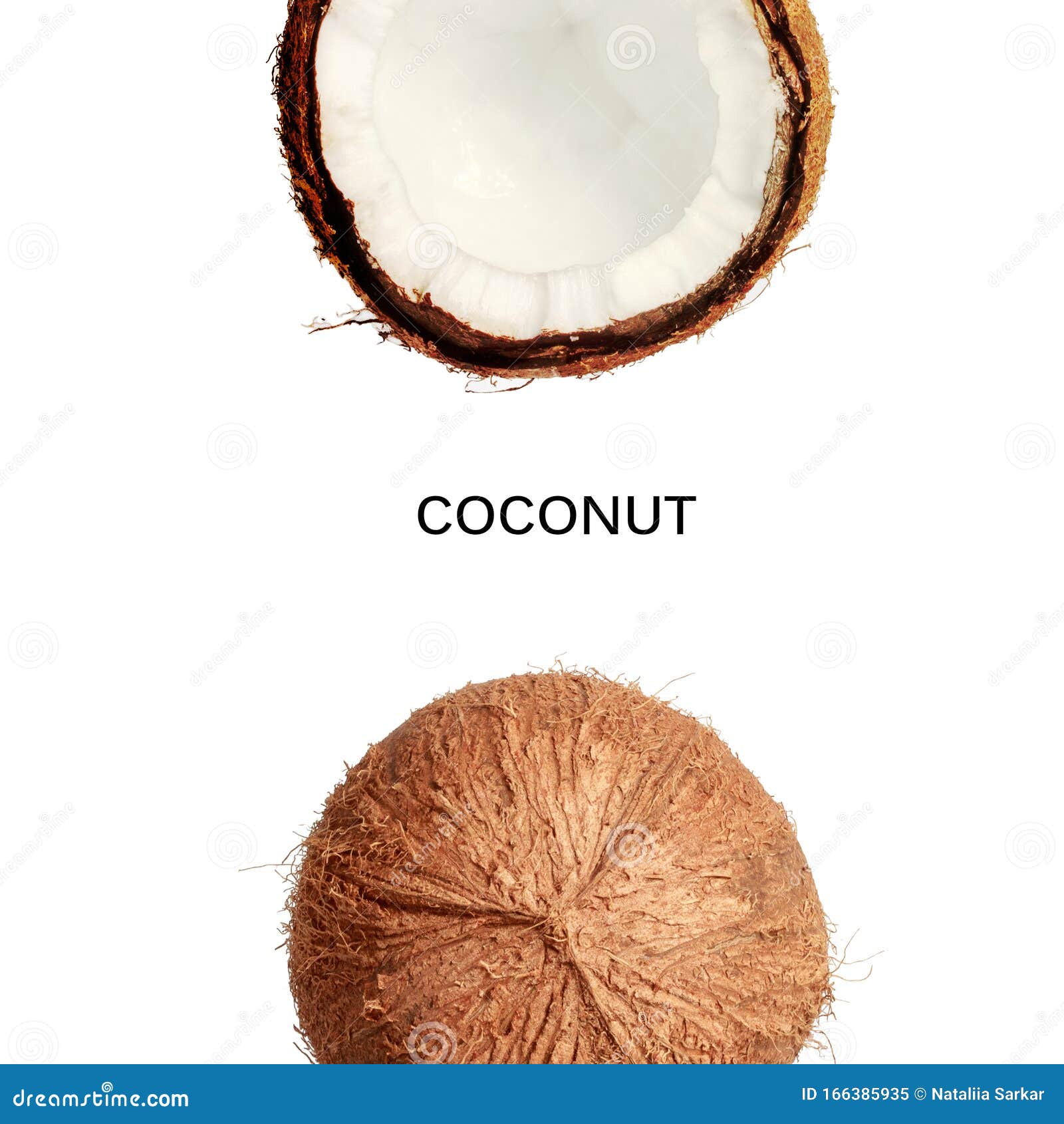 Creative Concept of Coconut. Healthy Food and Cosmetics Stock Image ...