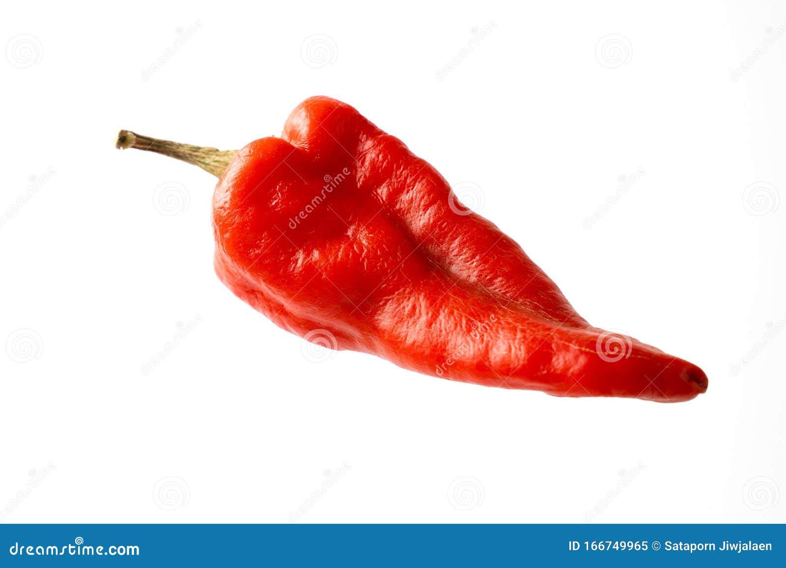 Creative Concept Flying Red Chilli on White Stock Image - Image of ...