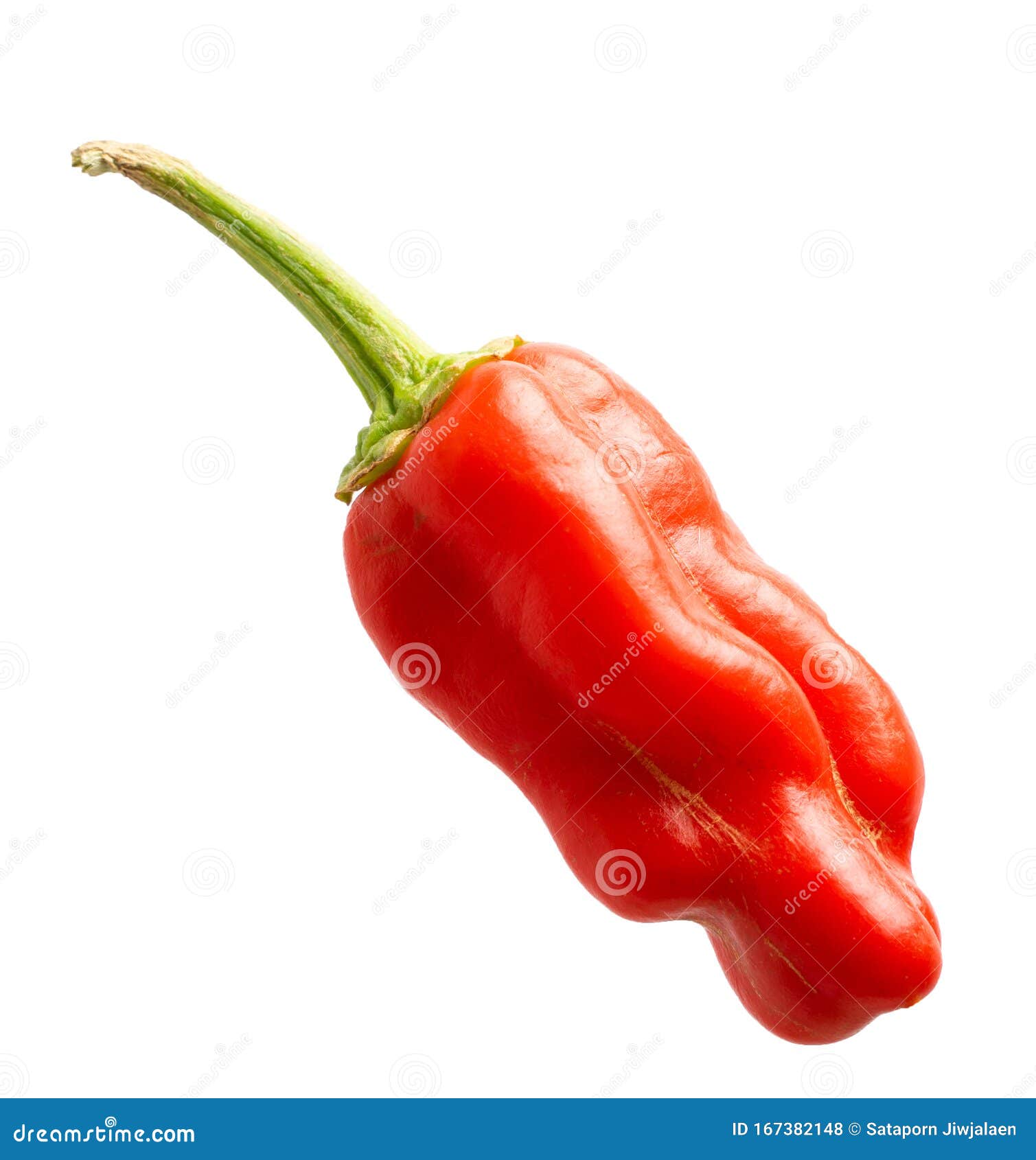 Creative Concept Flying Red Chilli on White Stock Photo - Image of ...