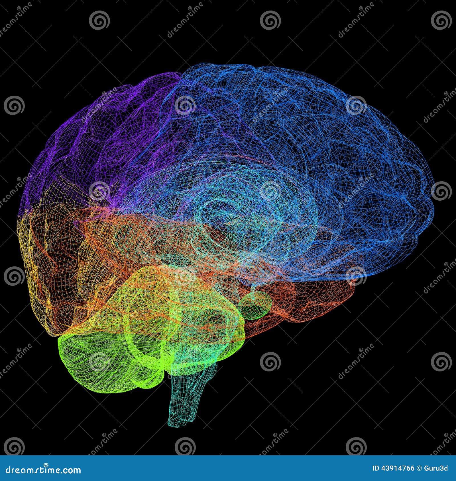 Creative Concept of the Human Brain Stock Illustration - Illustration ...