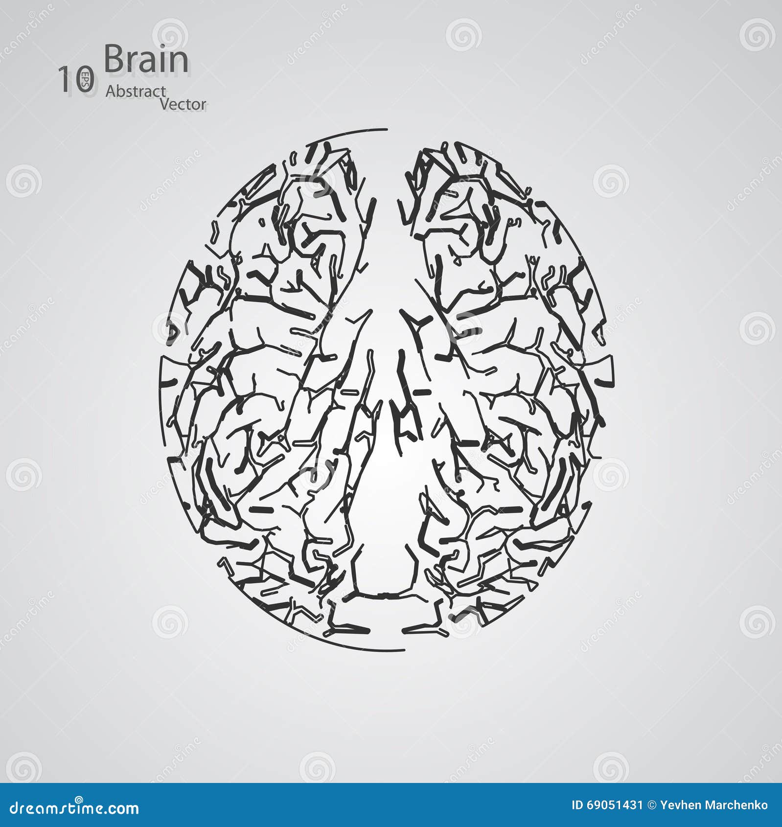 Creative Concept of the Human Brain Stock Vector - Illustration of ...