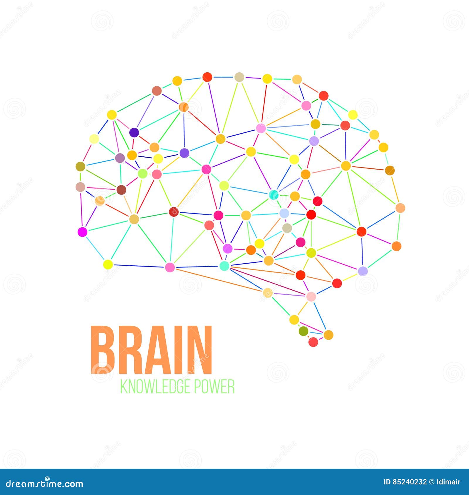 Creative Concept of the Human Brain, Vector Stock Vector - Illustration ...