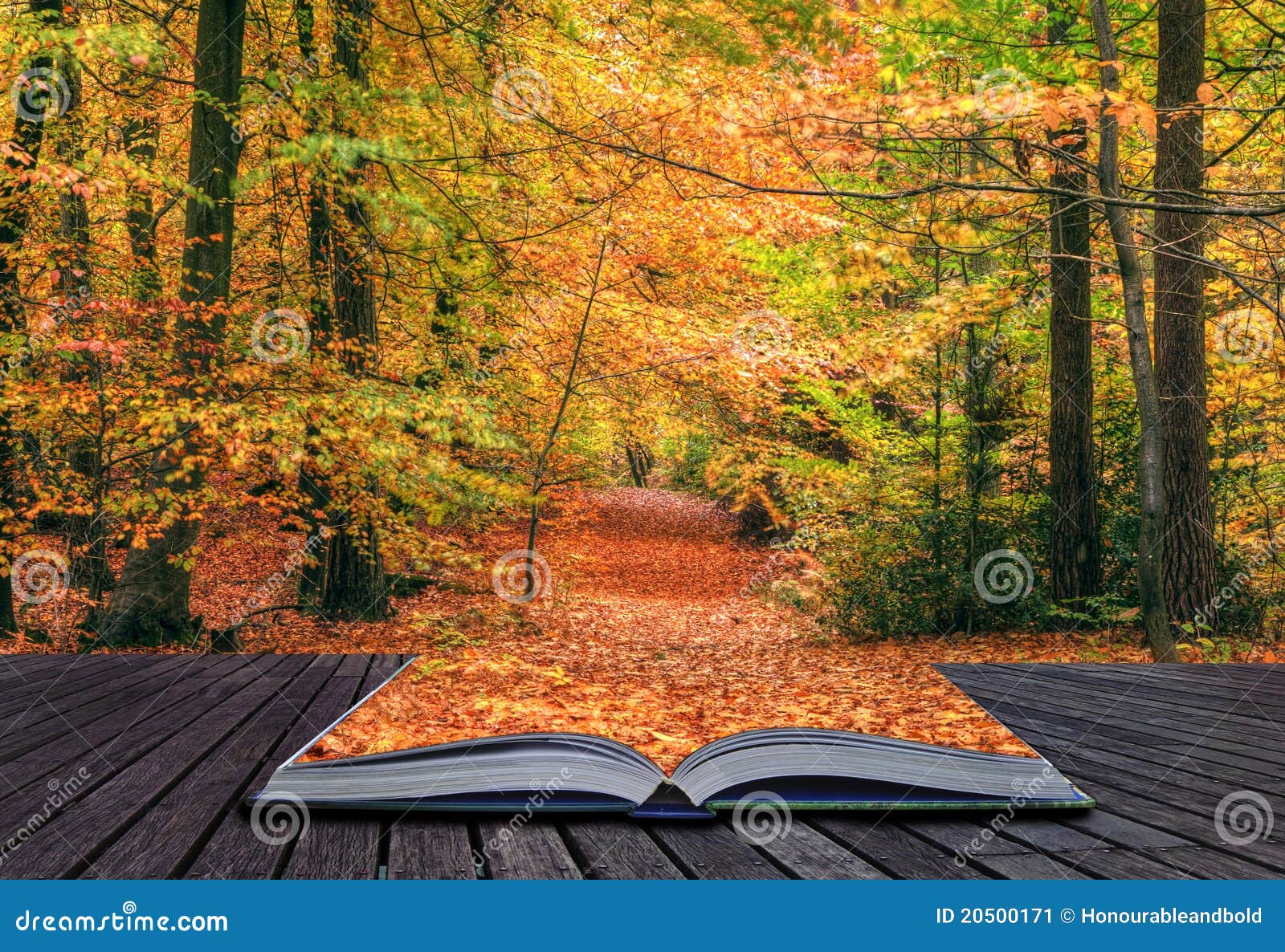Creative Concept Idea of Autumn Fall Forest Stock Image - Image of ...