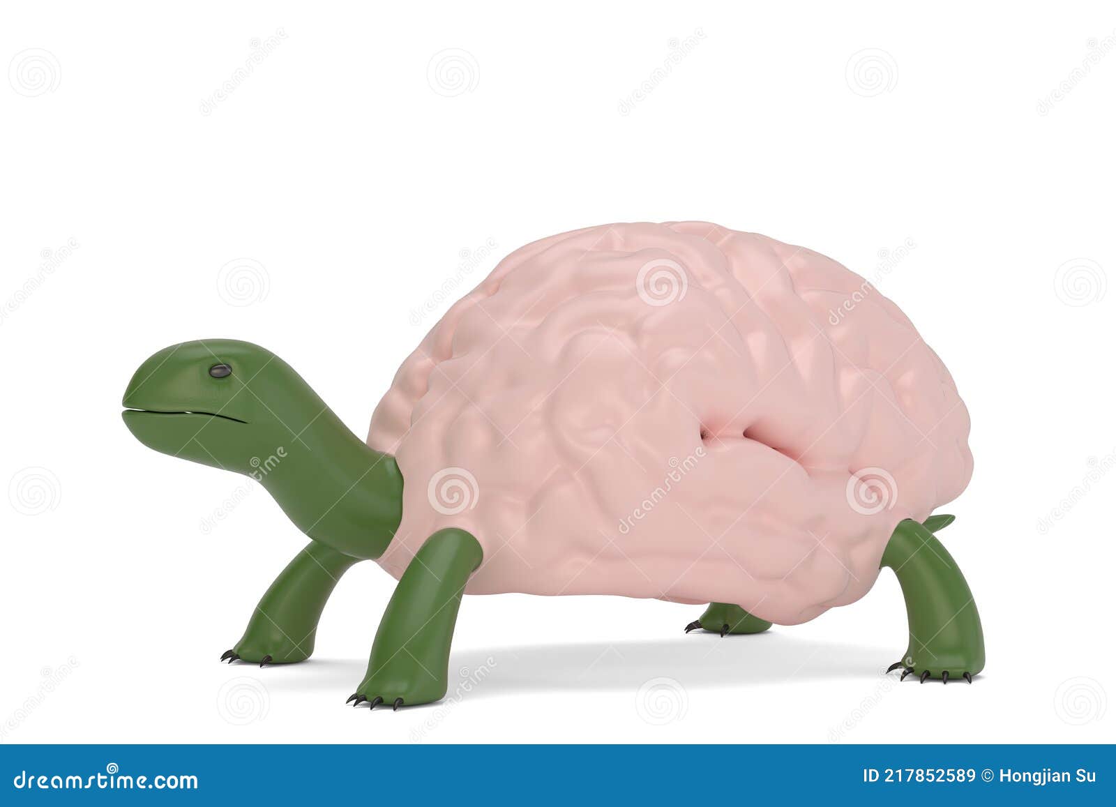 Creative Concept Illustration, Turtle Brain Isolated on White ...