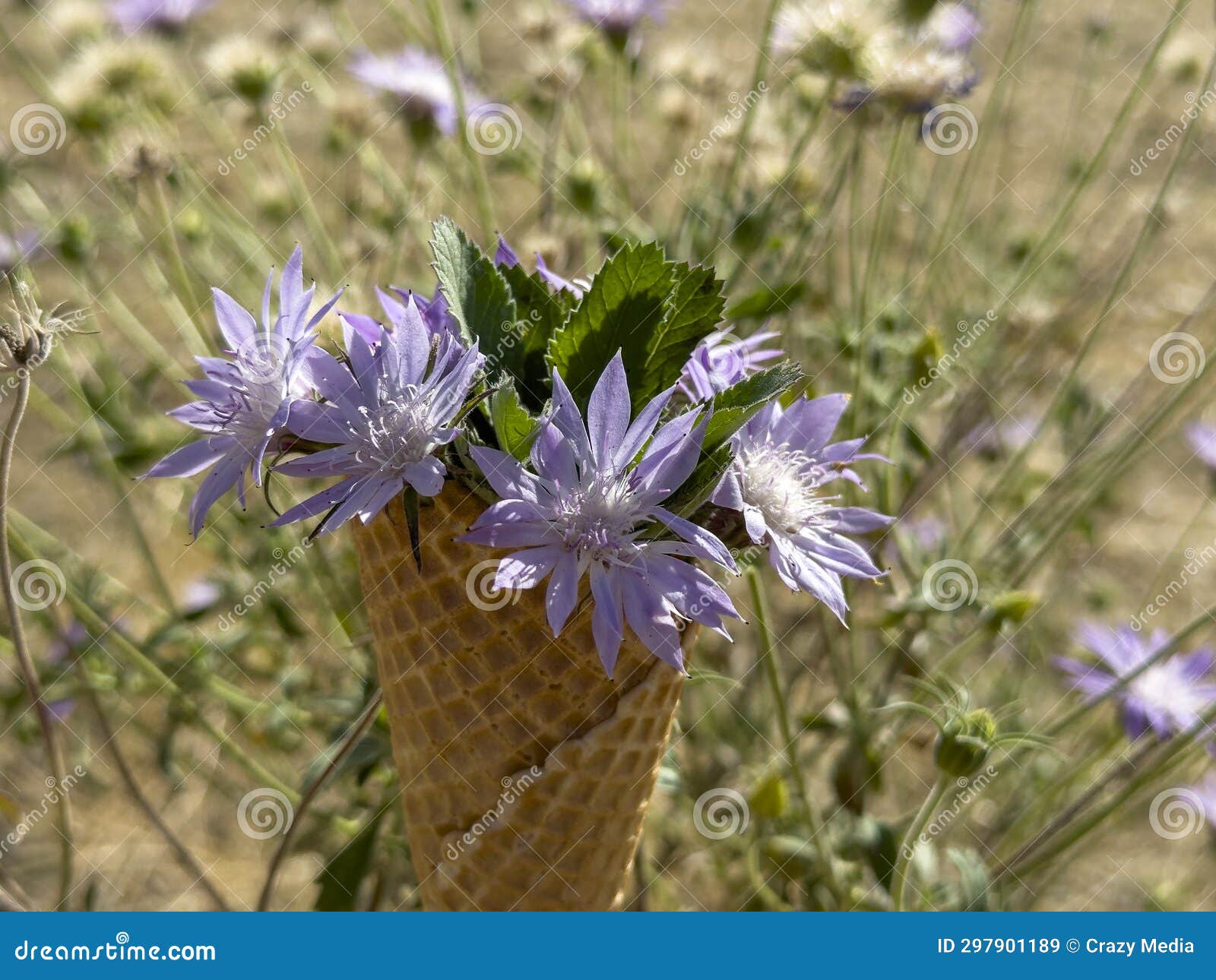 Creative Concept of Purple Wildflowers in Cone Stock Image - Image of ...