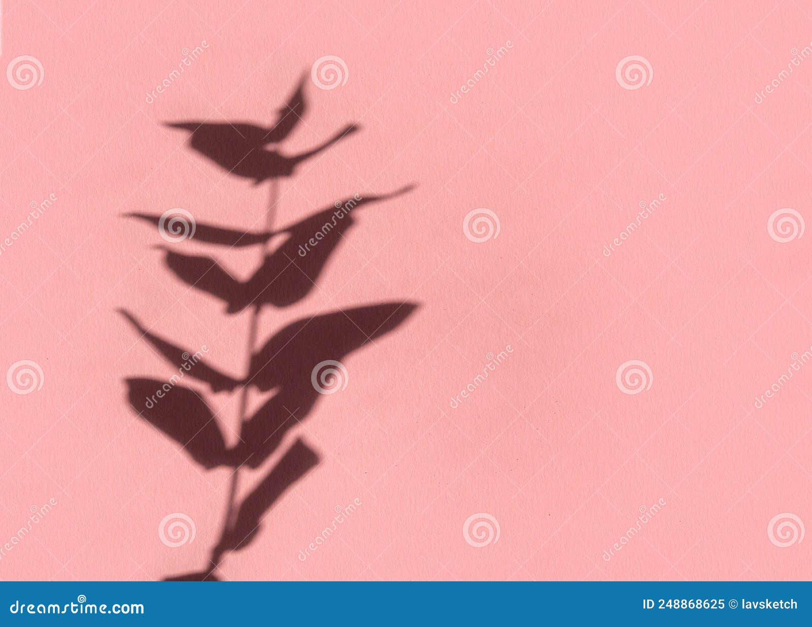 Creative Copyspace with Shadows on a Shiny Soft Pink Wall. Top View of ...