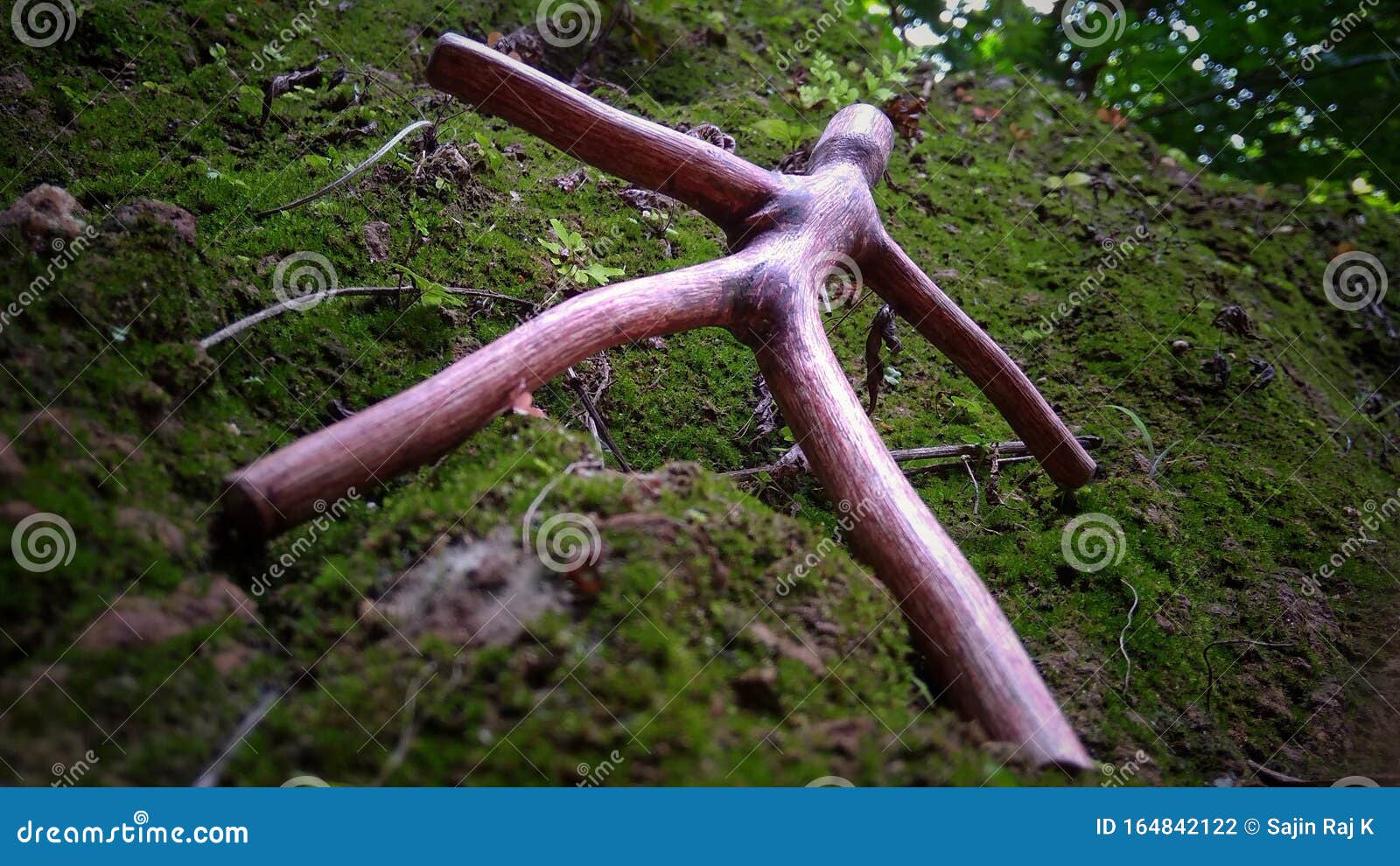 Creative Craft of a Human in Branch of a Tree Stock Photo - Image of ...