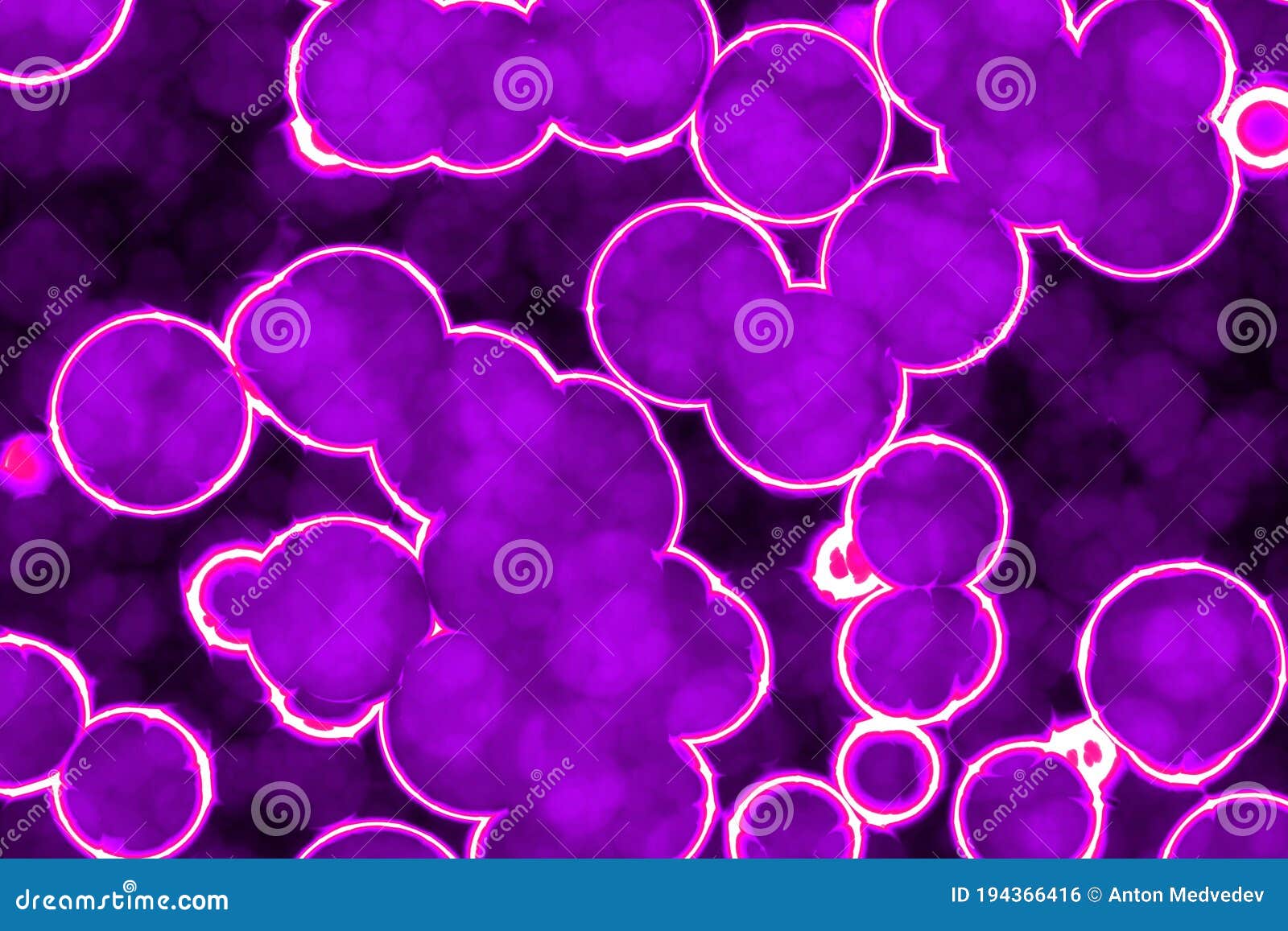 Creative Cute Multi Colored Organic Phosphorescent Light Template ...