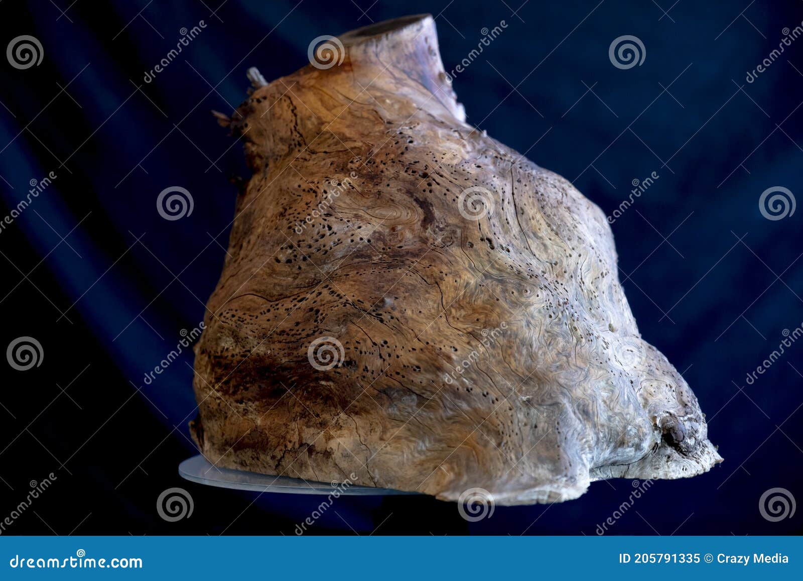 Creative Decorative Trunks Made of Dry Trees and Stumps Stock Image ...