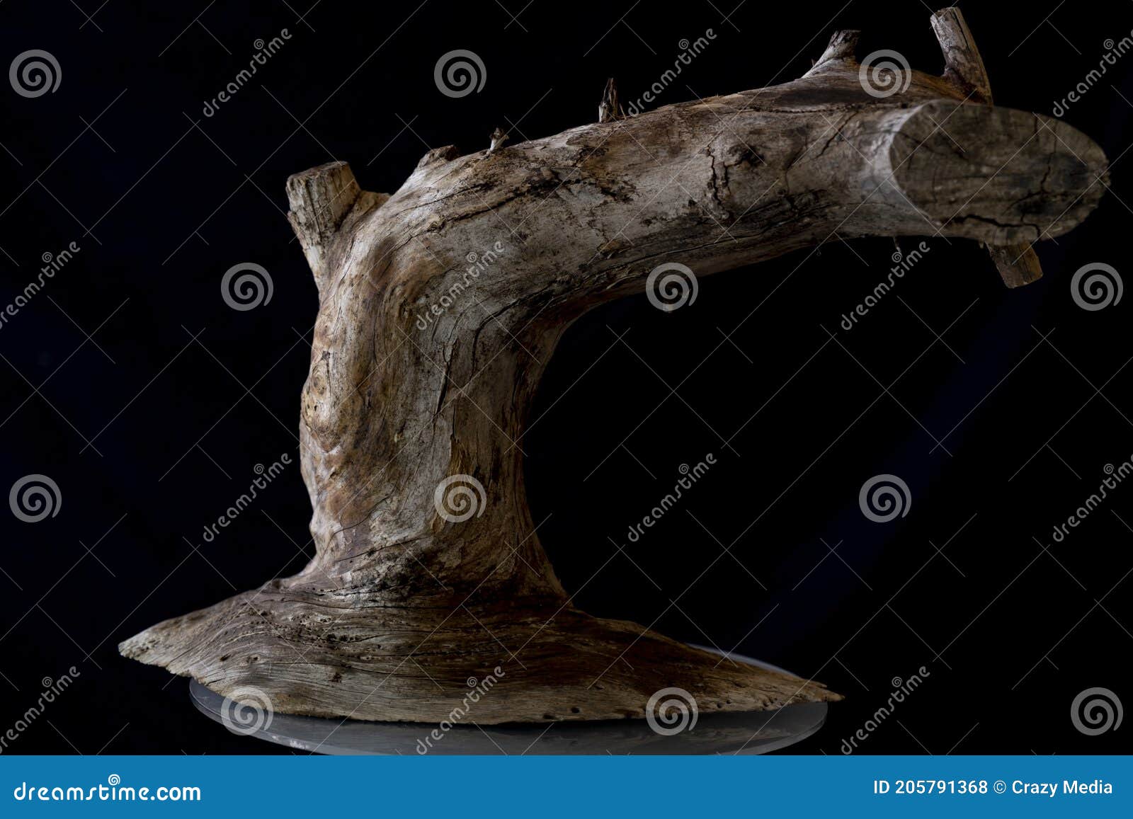 Creative Decorative Trunks Made of Dry Trees and Stumps Stock Photo ...