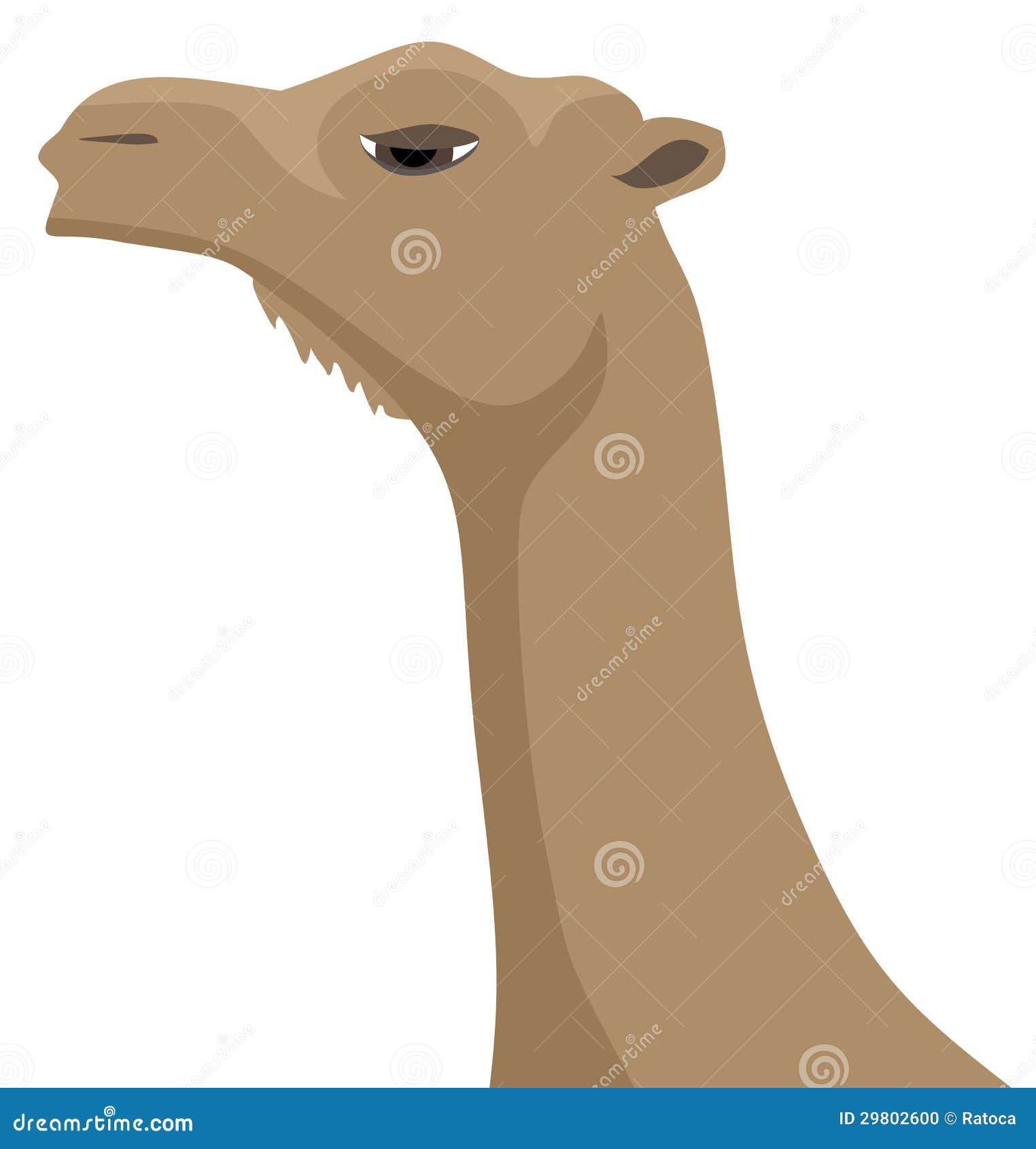 Cartoon Camel Head