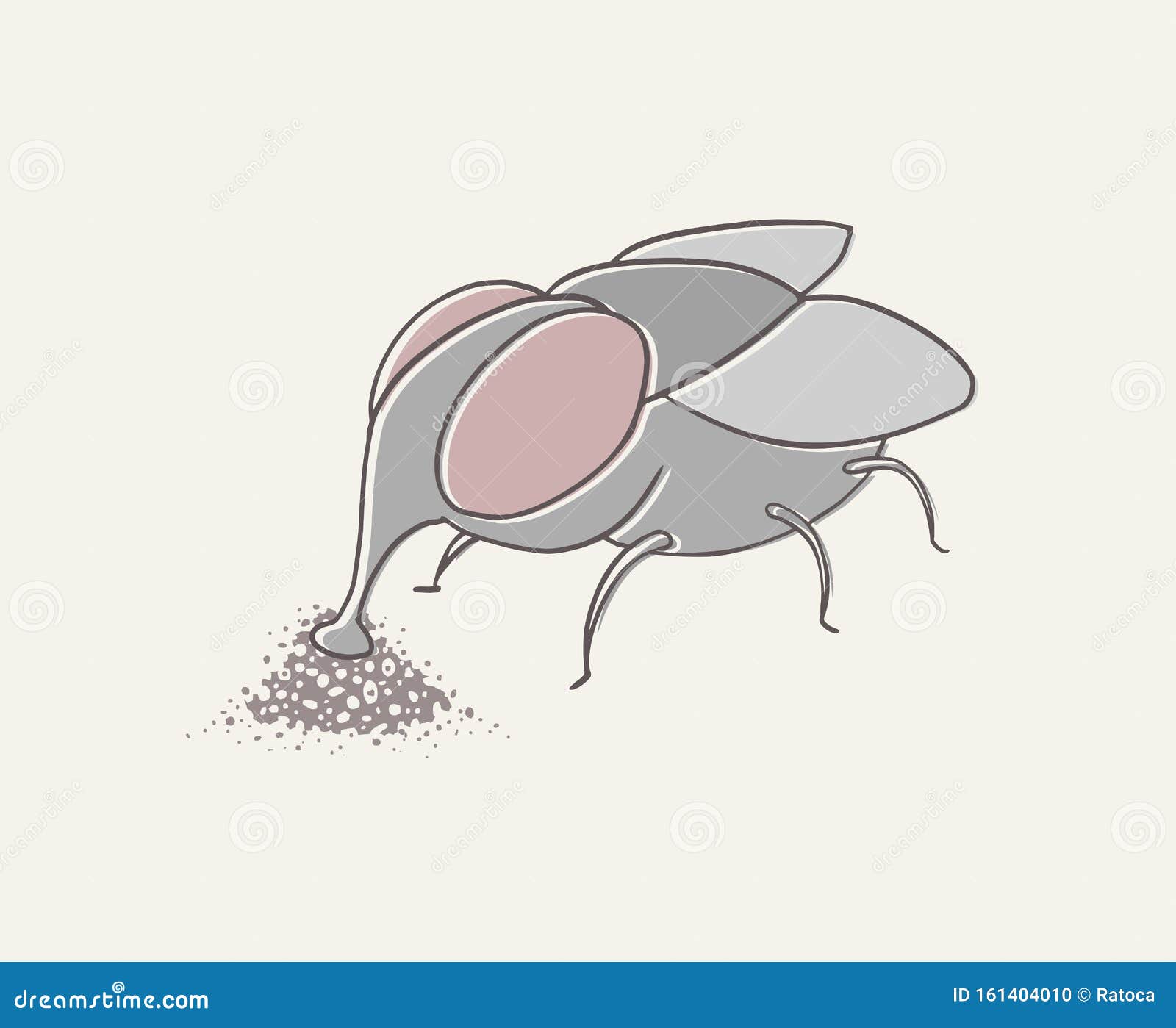 Fly insect eating stock vector. Illustration of wings - 161404010
