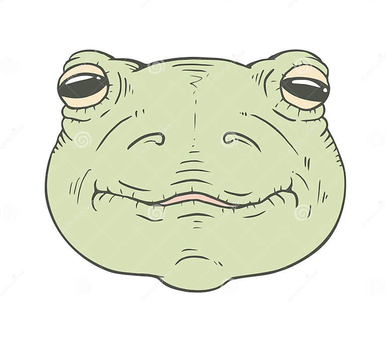 Funny frog draw stock vector. Illustration of cartoon - 309081007