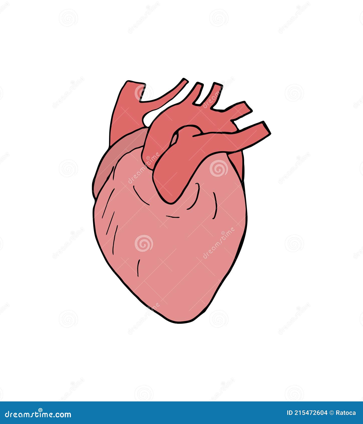 Creative Design of Heart Draw Stock Vector - Illustration of aorta ...
