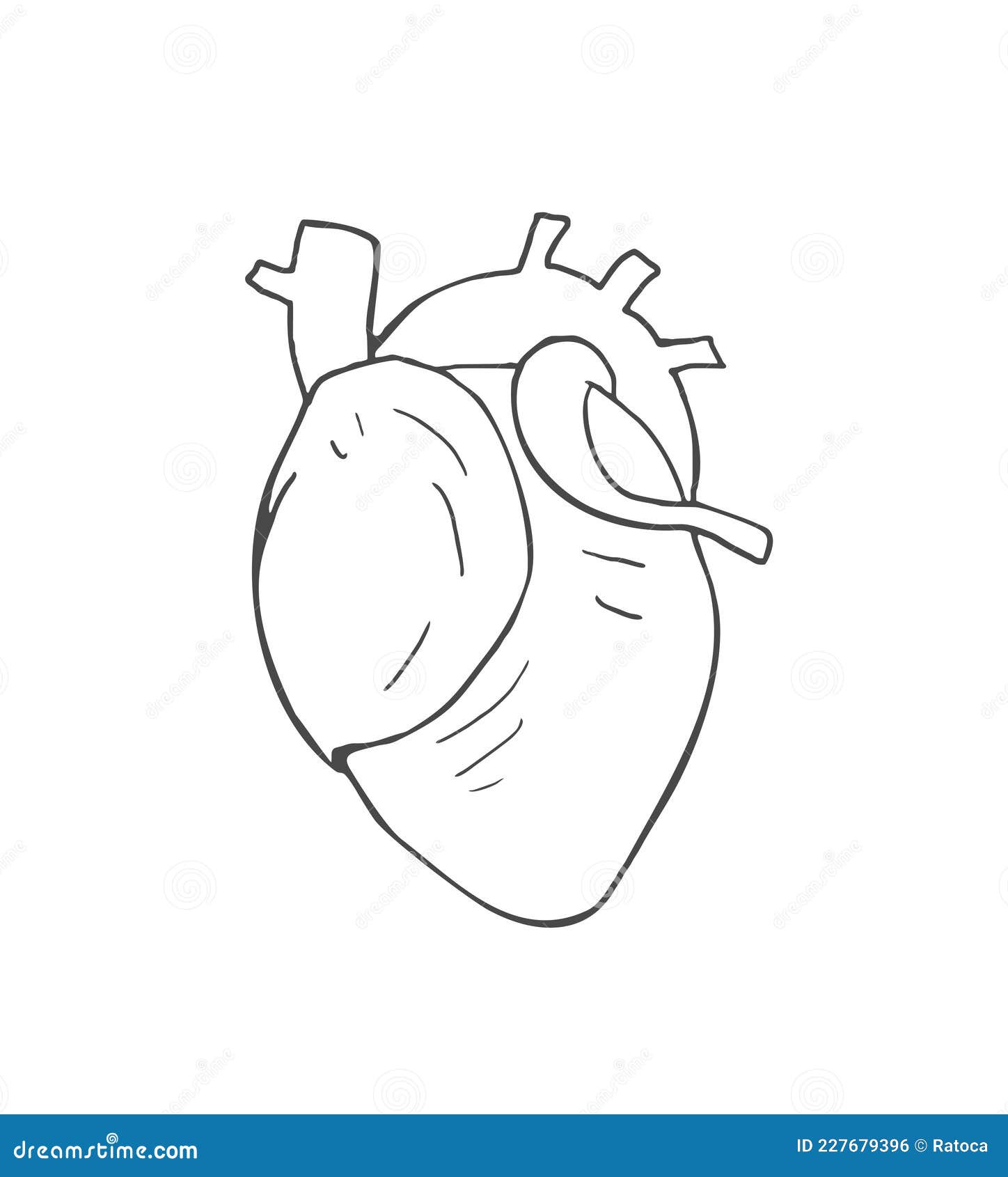 Creative Design of Heart Draw Stock Vector - Illustration of human ...