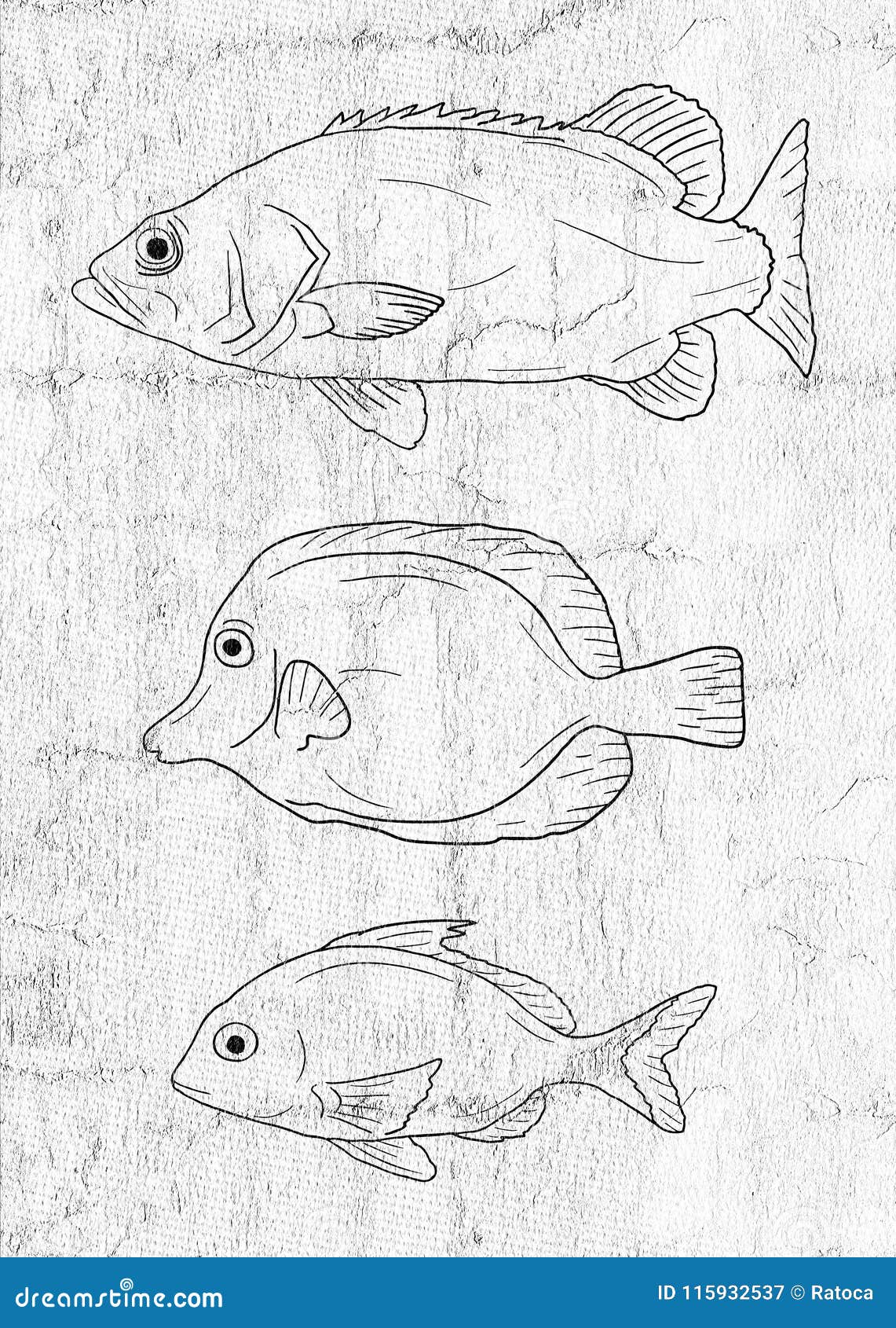 The Three Fishes Icon From The Cairns Esplanade Cartoon Vector ...