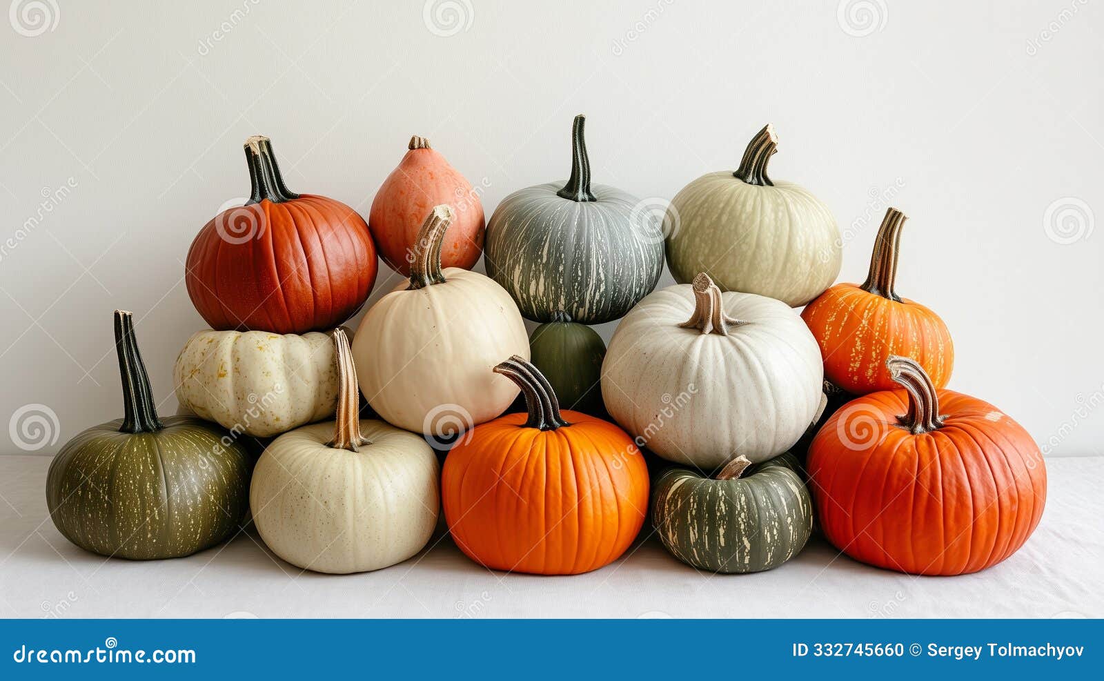 A Colorful Arrangement of Various Pumpkins Displayed Artistically on a ...
