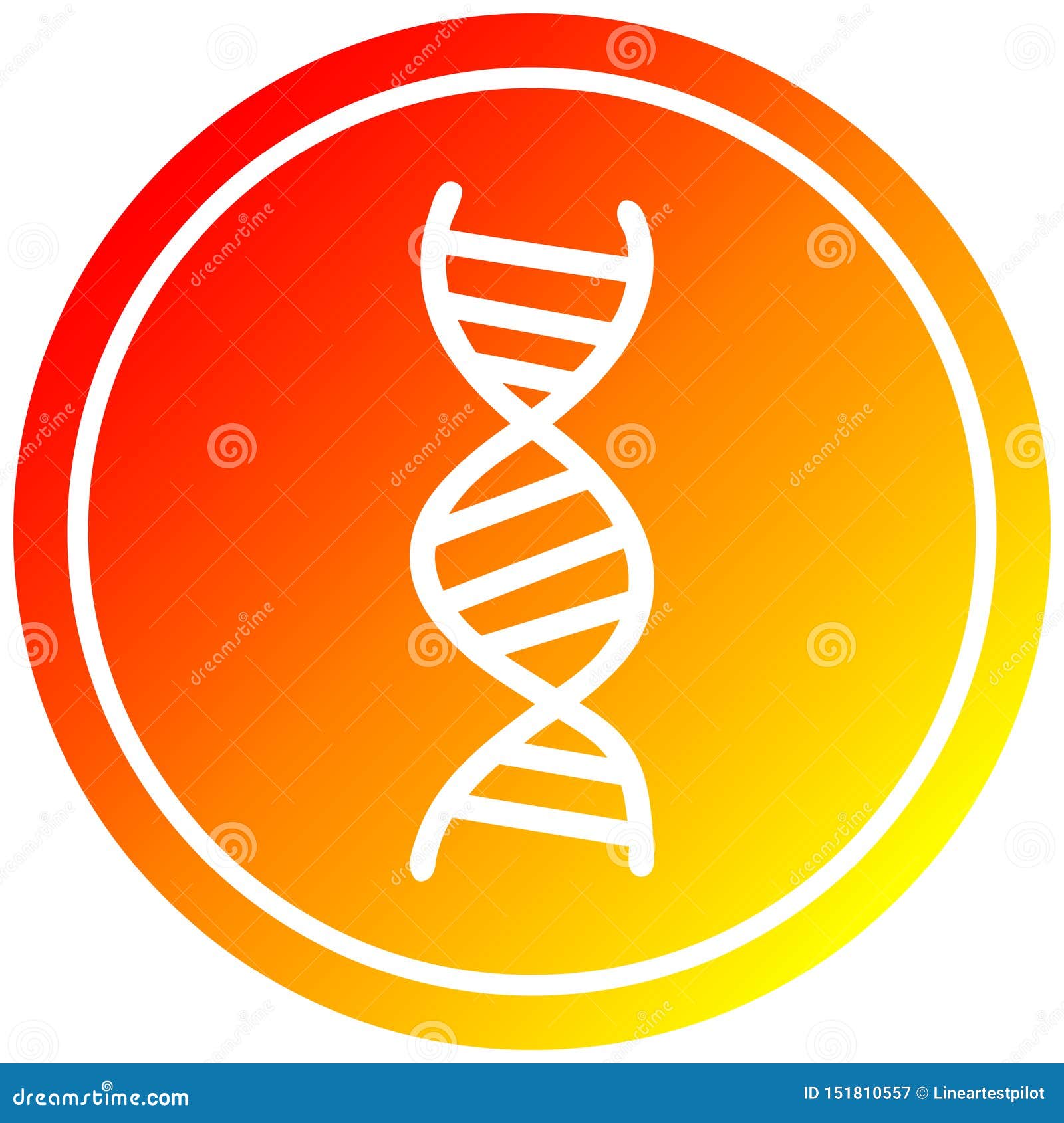 A Creative DNA Chain Circular in Hot Gradient Spectrum Stock Vector ...
