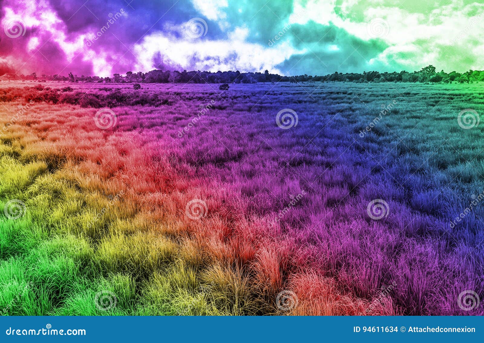 Creative Dynamic Multicolored Abstract Background Landscape with Field ...