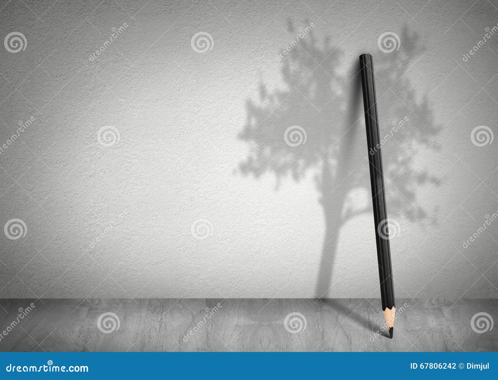 The Shadow Of A Tree Being Cast On Blacktop Pavement Royalty-Free Stock ...