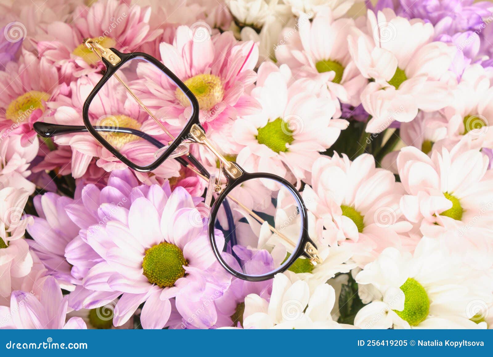 Creative Eyeglasses and Flowers, Unhackneyed Eye Glasses Frames Stock ...