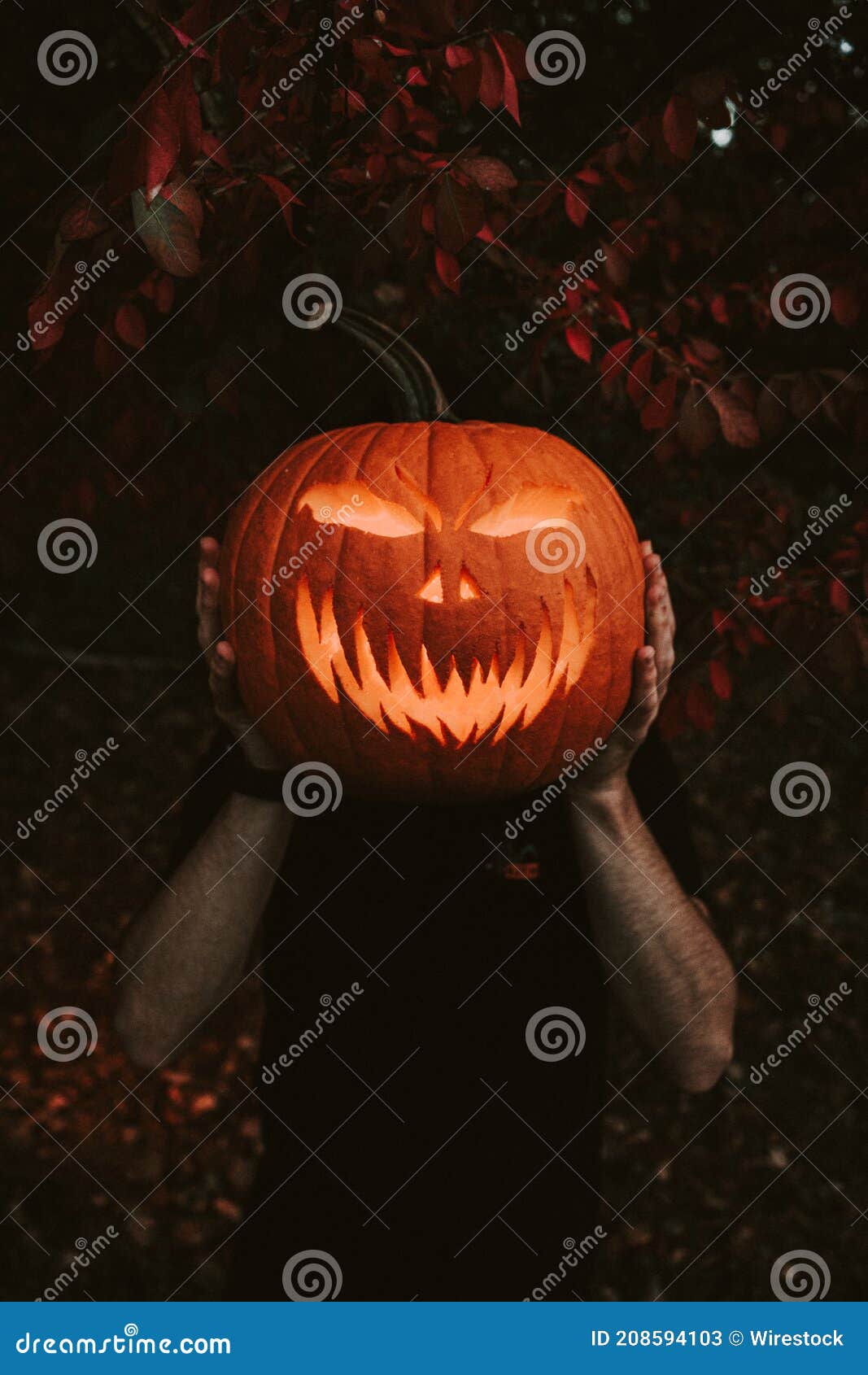 Carved Pumpkin Portrait stock image. Image of fall, creative - 208594103