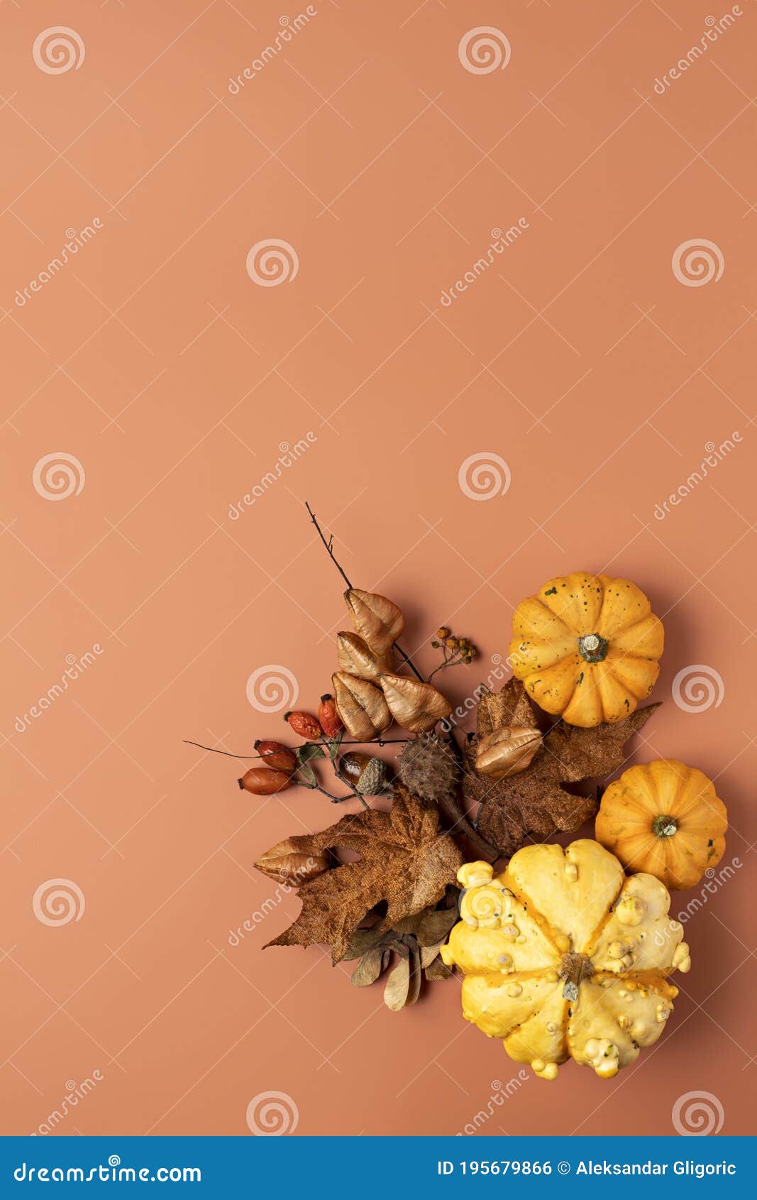 Creative Fall Layout Made of Autumn Leaves. Stock Photo - Image of ...