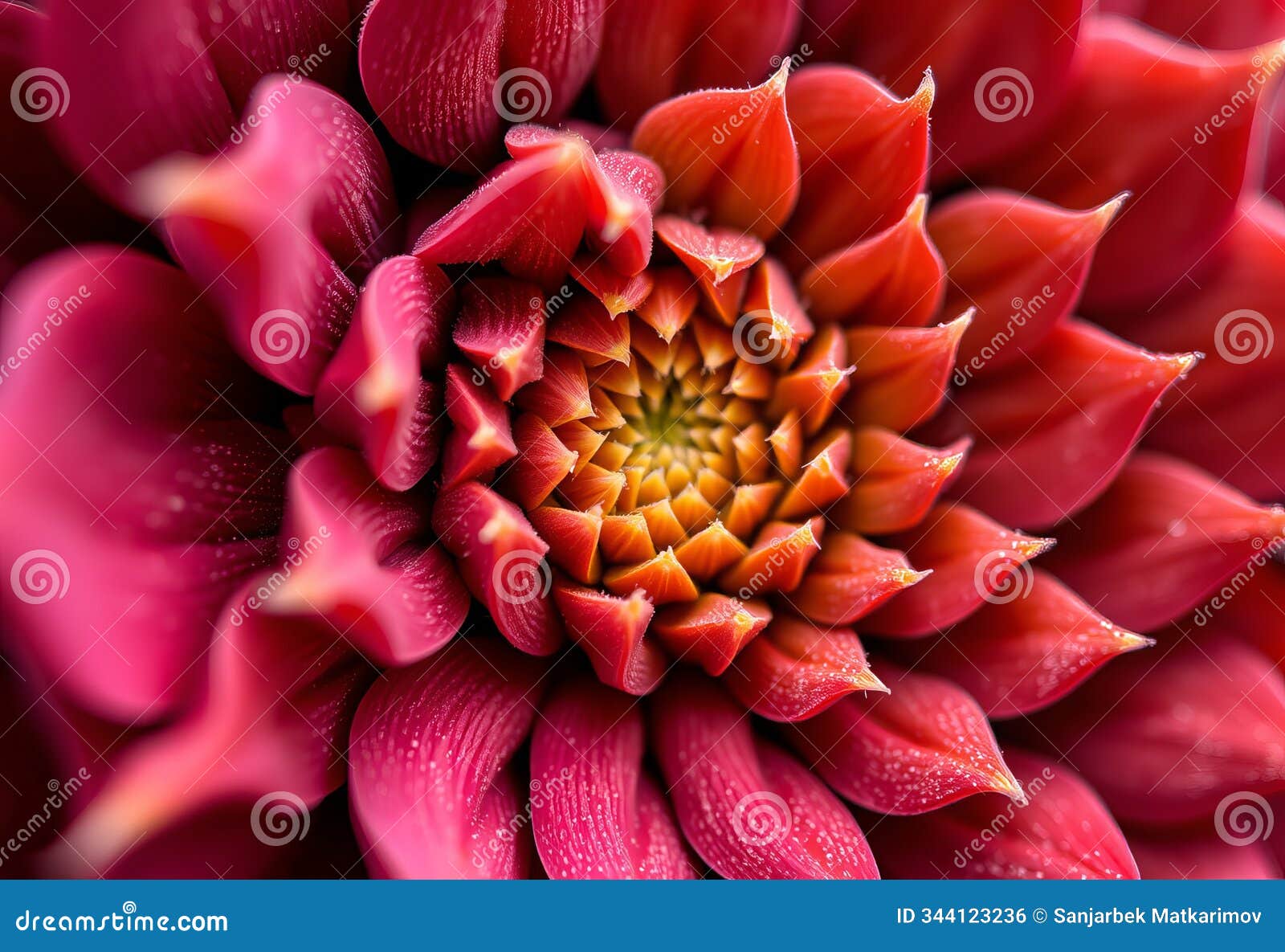 Creative Fibonacci Sequence a Close Up of a Fibonacci Sequence R Stock ...