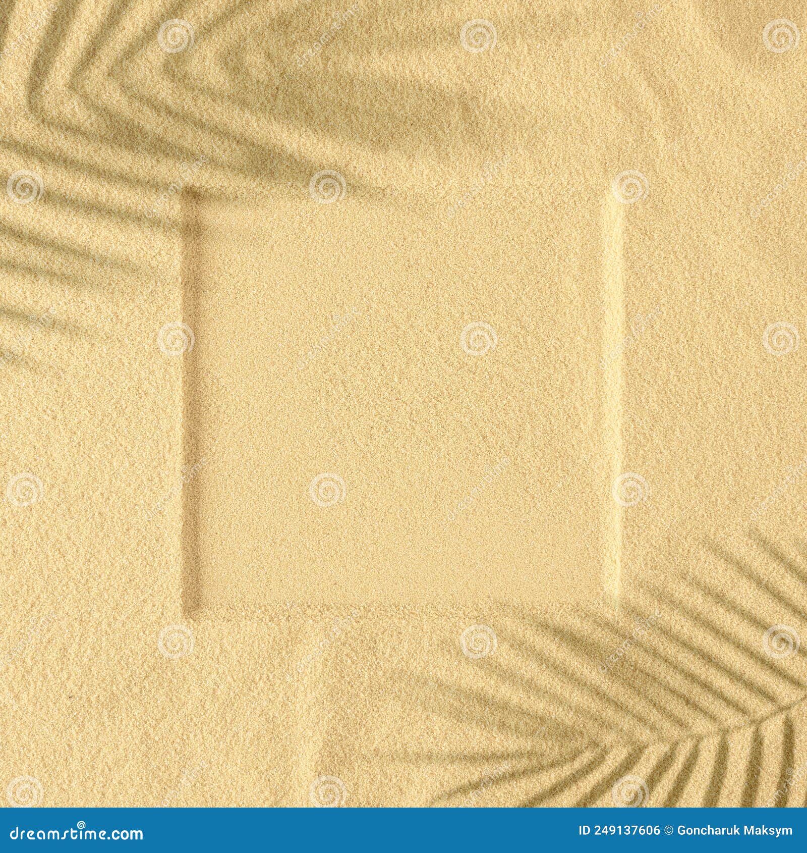 Creative Flat Lay with Tropical Leaf Shadow and Frame on Sandy ...