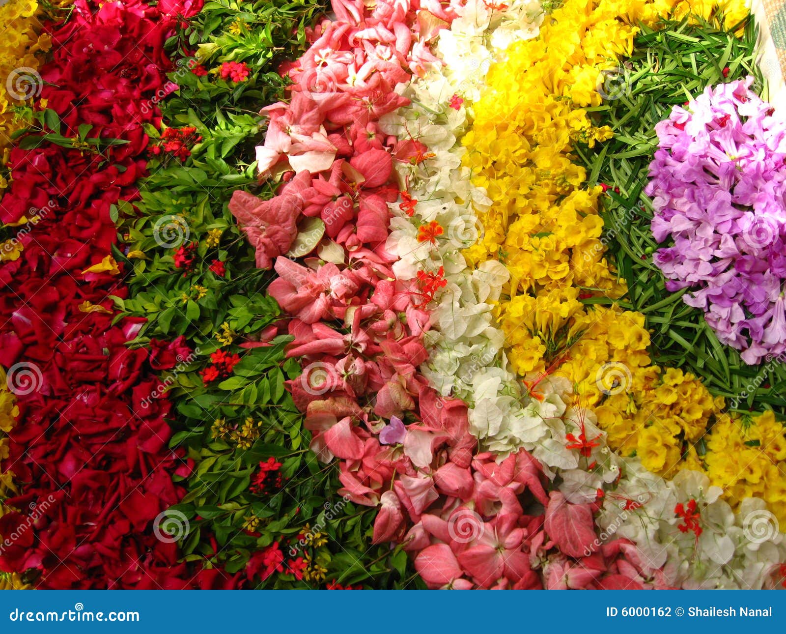 Creative flower decoration stock photo. Image of golden - 6000162