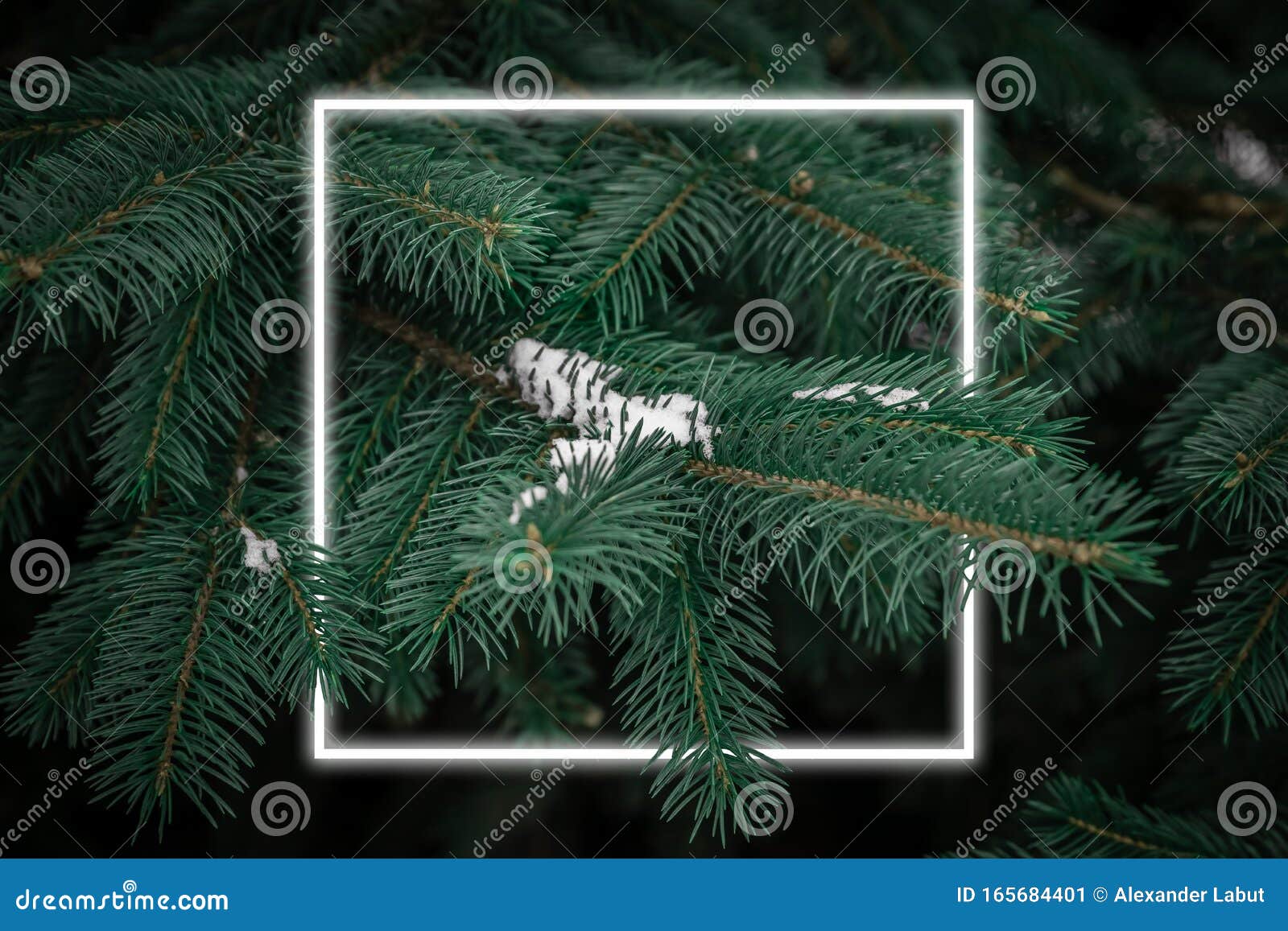 Creative Fluorescent Layout Made Around Christmas Tree Branches Covered ...