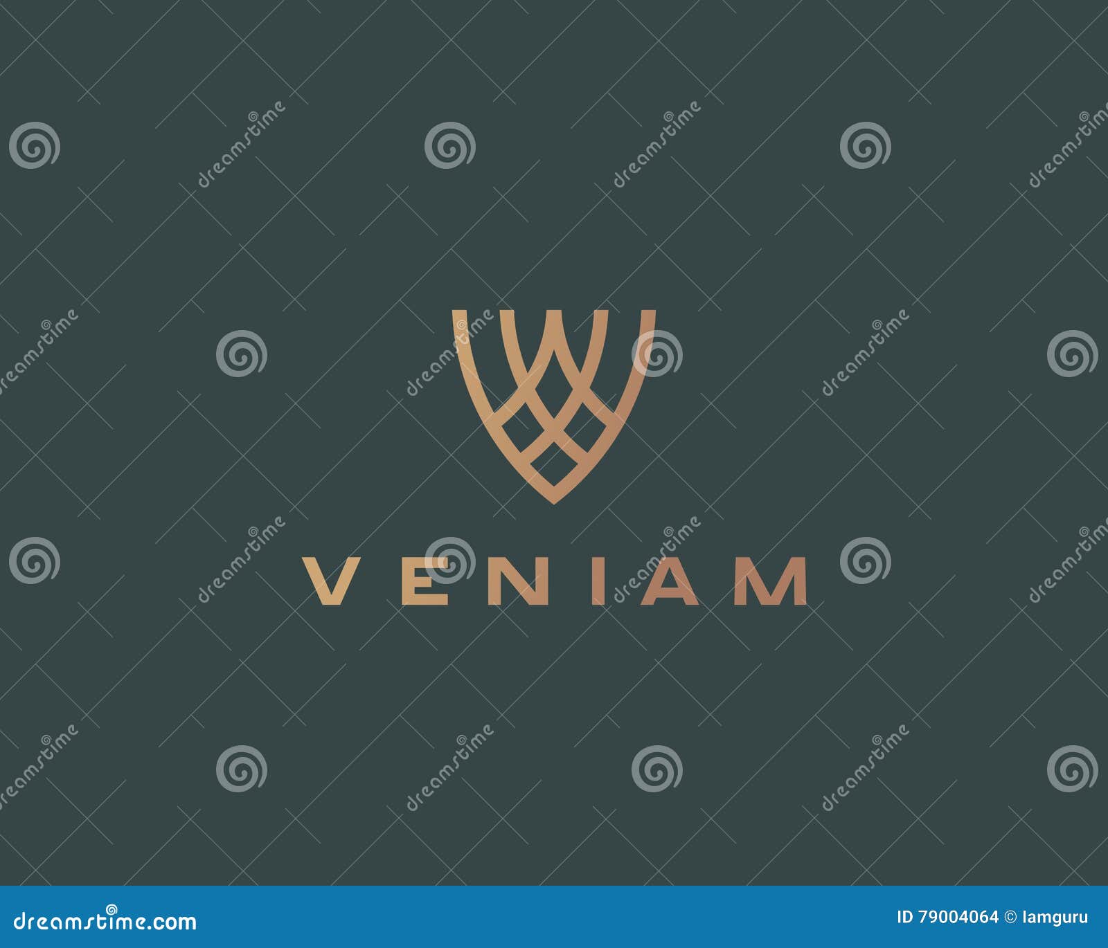 Creative Flying Shield Vector Logo Symbol. Luxury Abstract Letter V ...