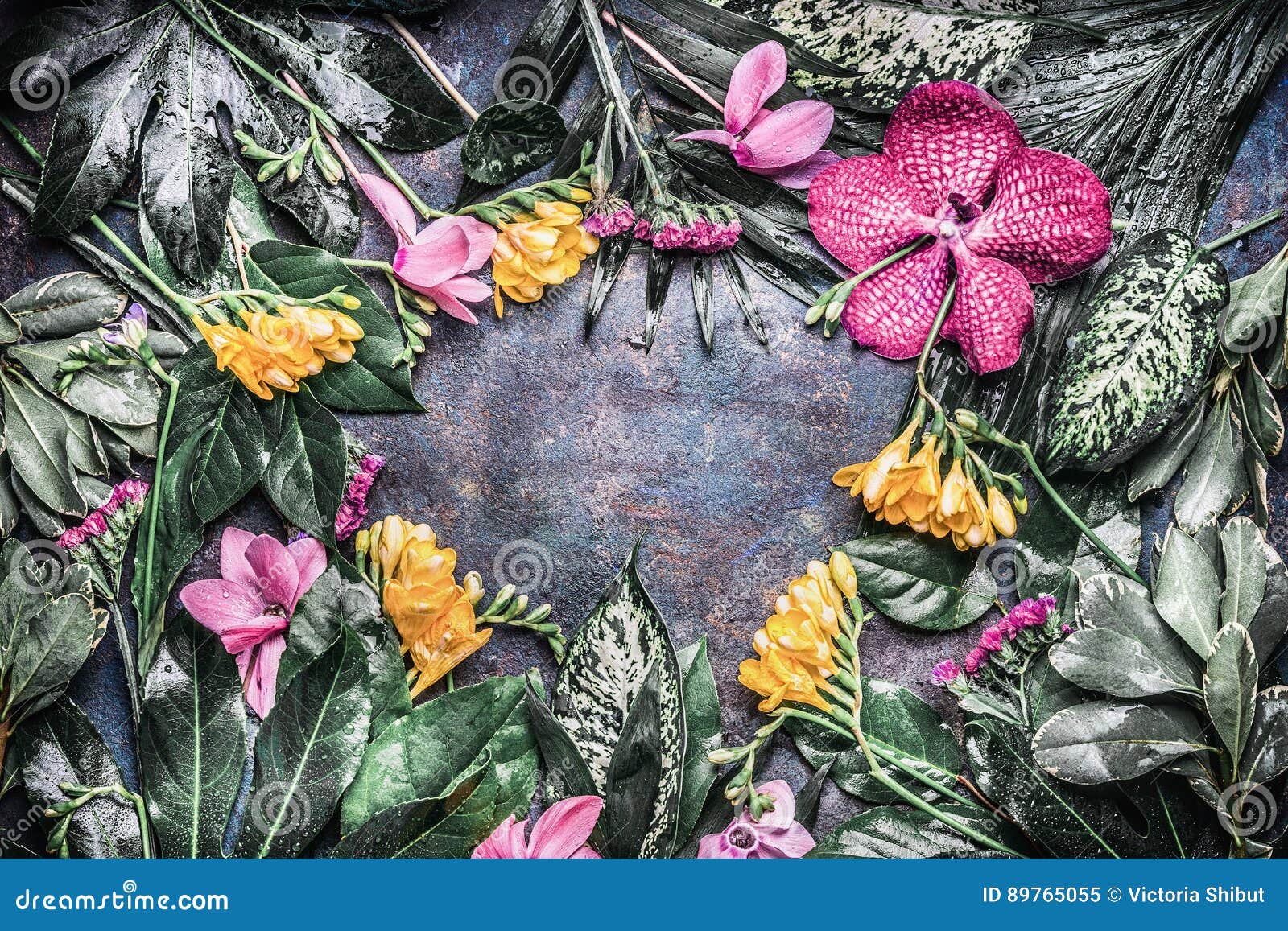 Creative Frame Made of Various Tropical Flowers and Leaves on Dark ...
