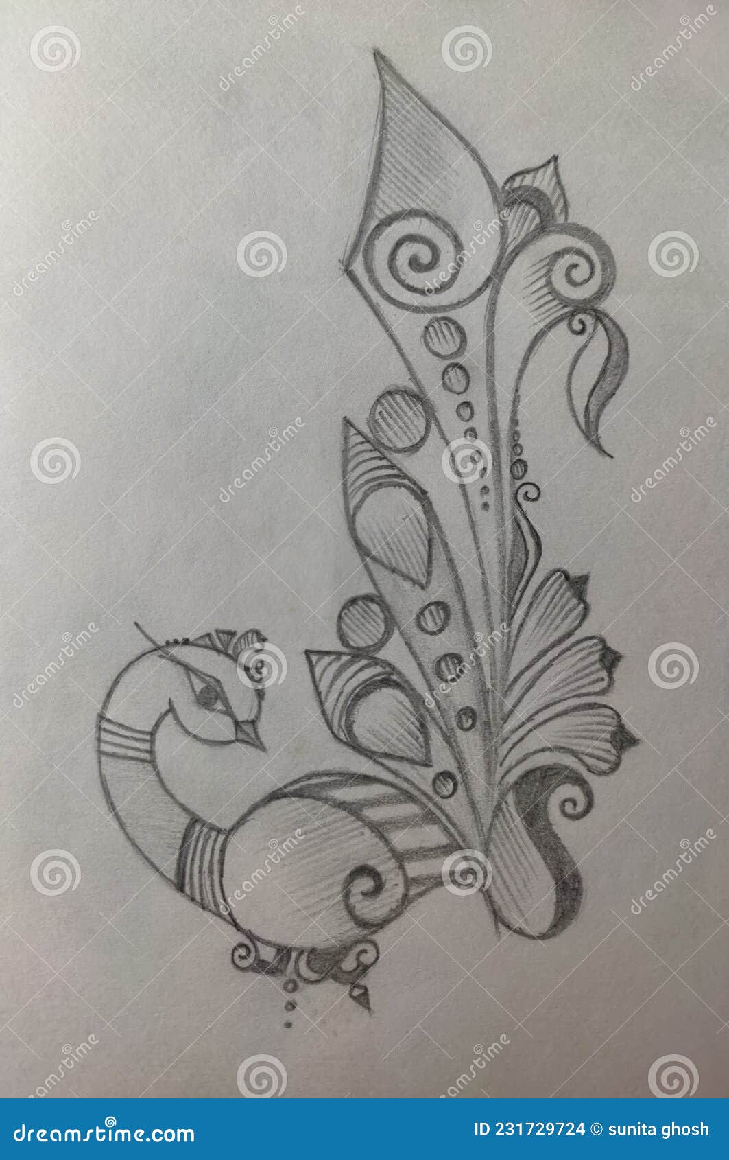 Creative Freehand Design of Peacock with Pencil. Stock Photo - Image of ...