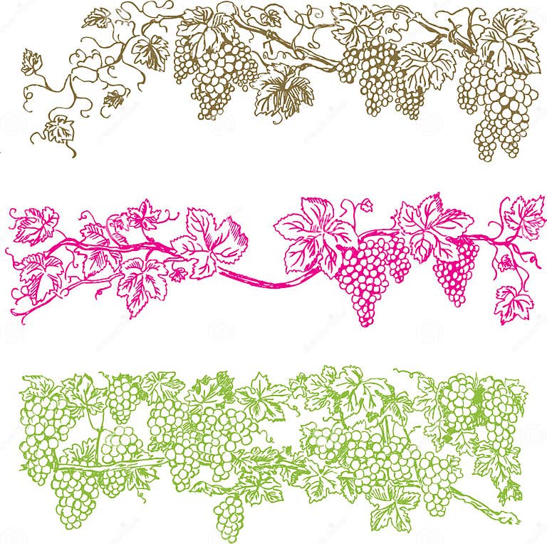 Creative grape bars stock vector. Illustration of frame - 15447791