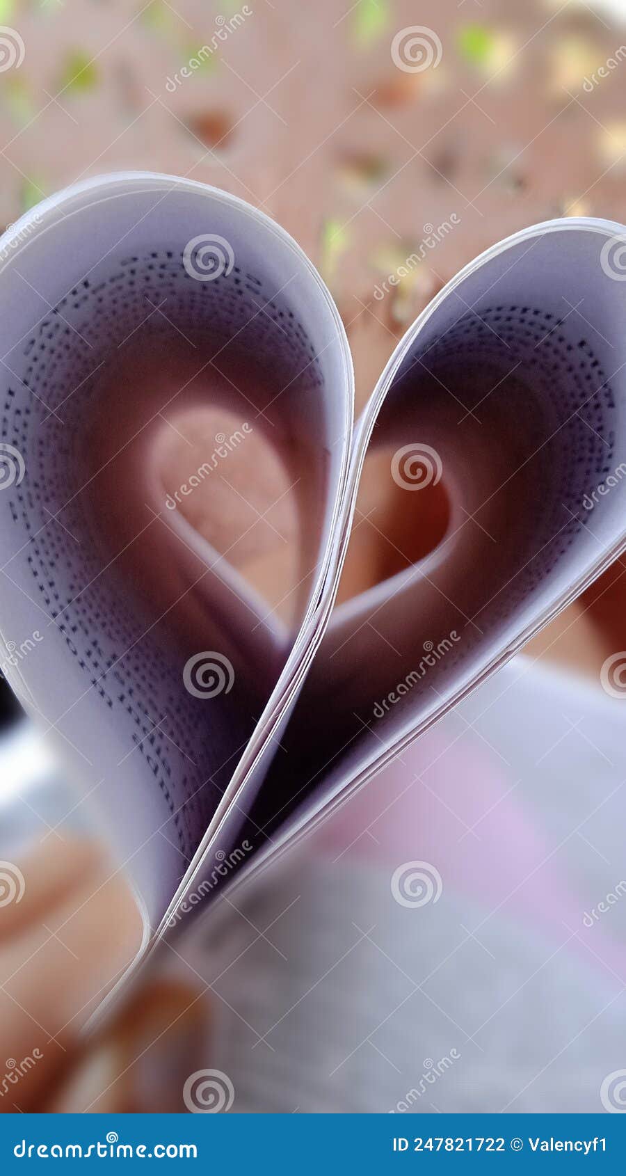 Creative heart stock photo. Image of quail, creative - 247821722